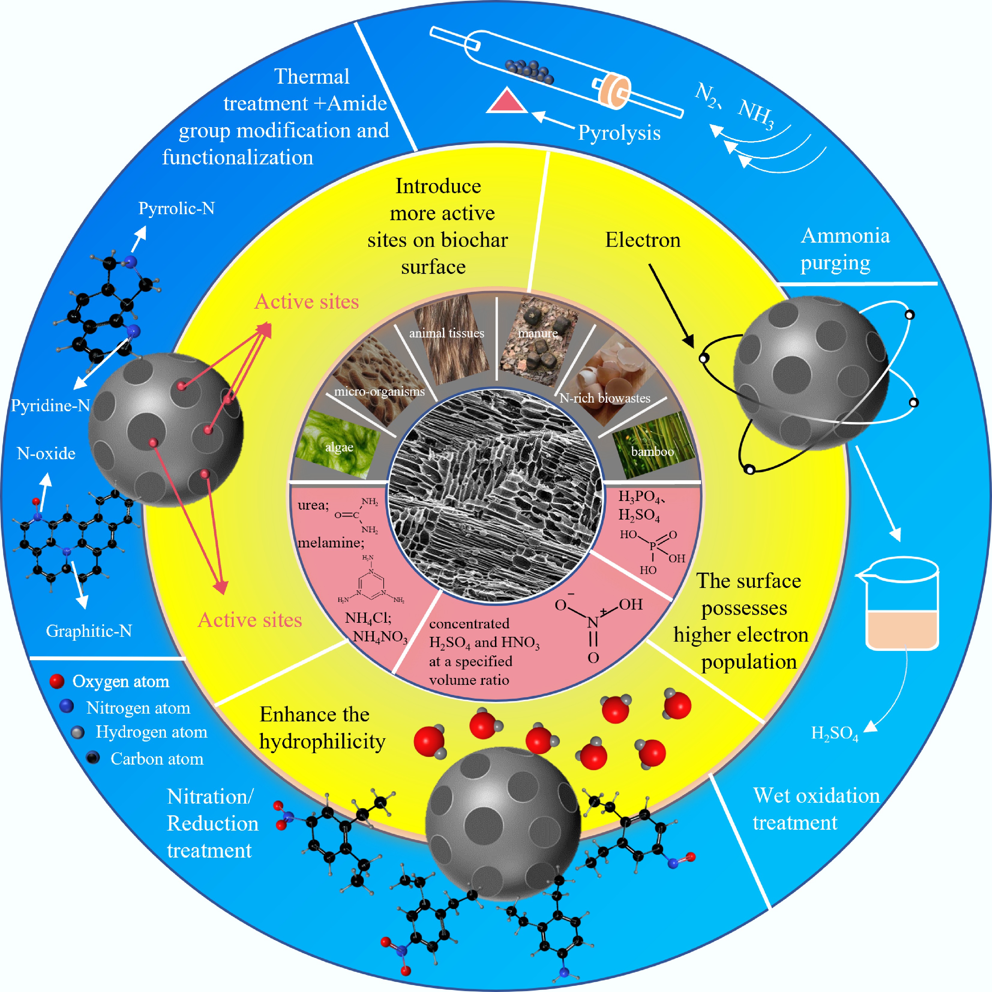 Synthesis, mechanism, and application of element-doped biochar for heavy metal contamination in ...