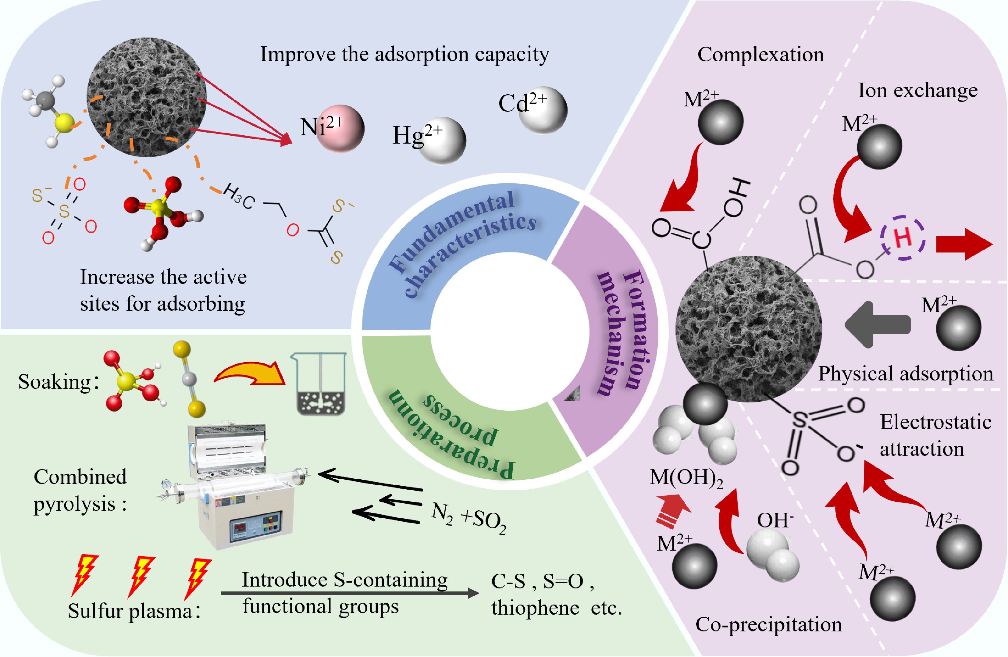 Synthesis, mechanism, and application of element-doped biochar for heavy metal contamination in ...
