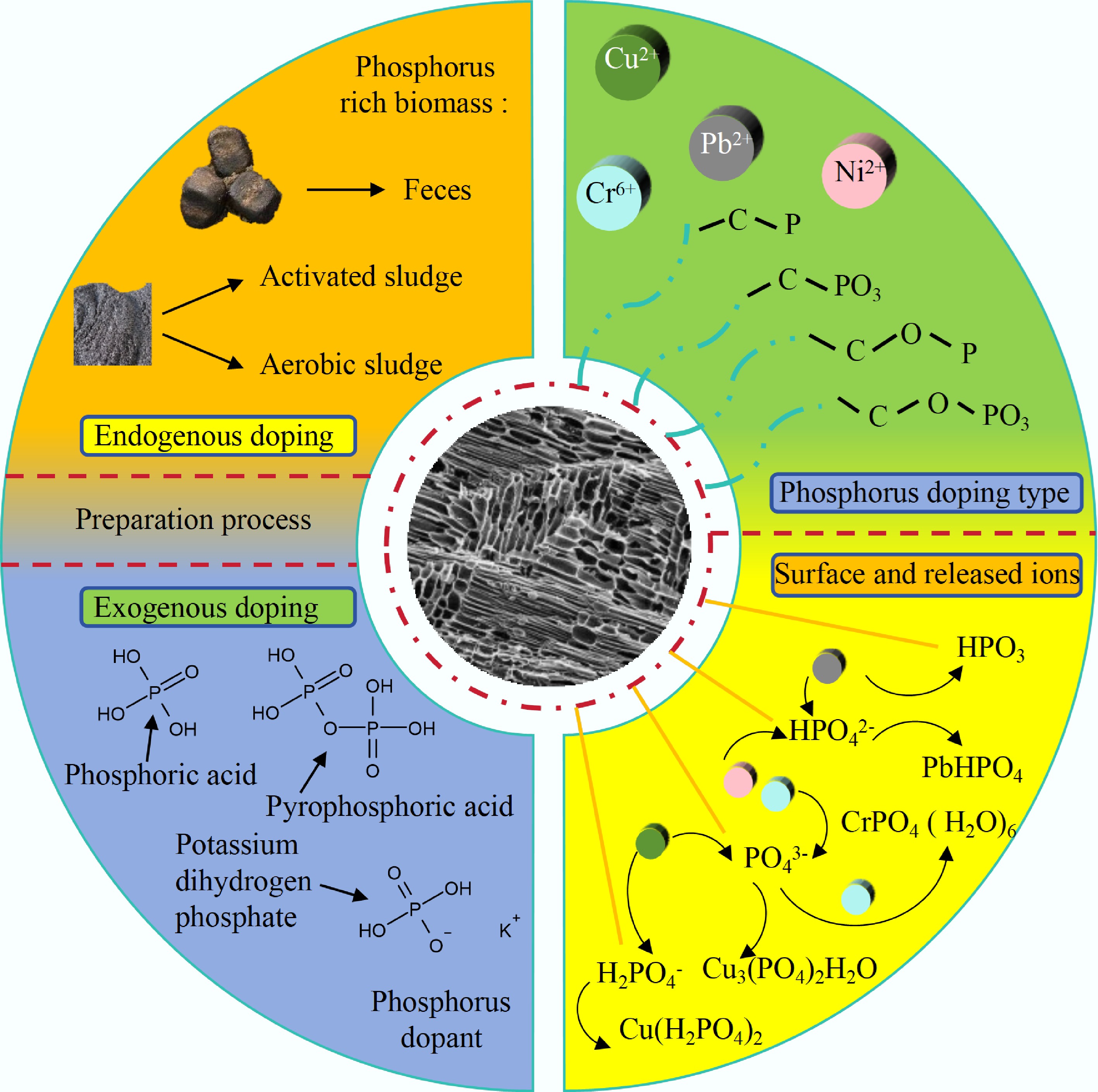 Synthesis, mechanism, and application of element-doped biochar for heavy metal contamination in ...