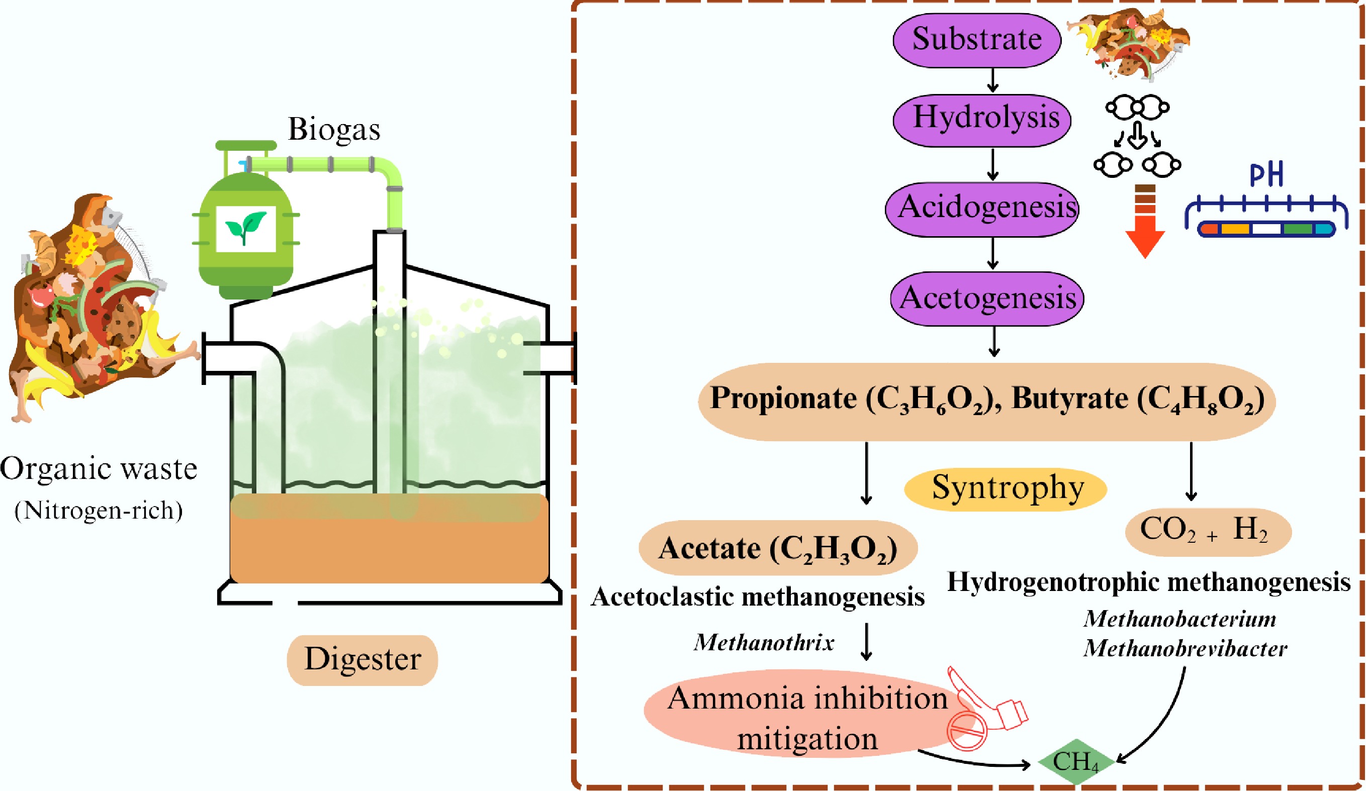 Mitigation of ammonia inhibition during anaerobic digestion a ...