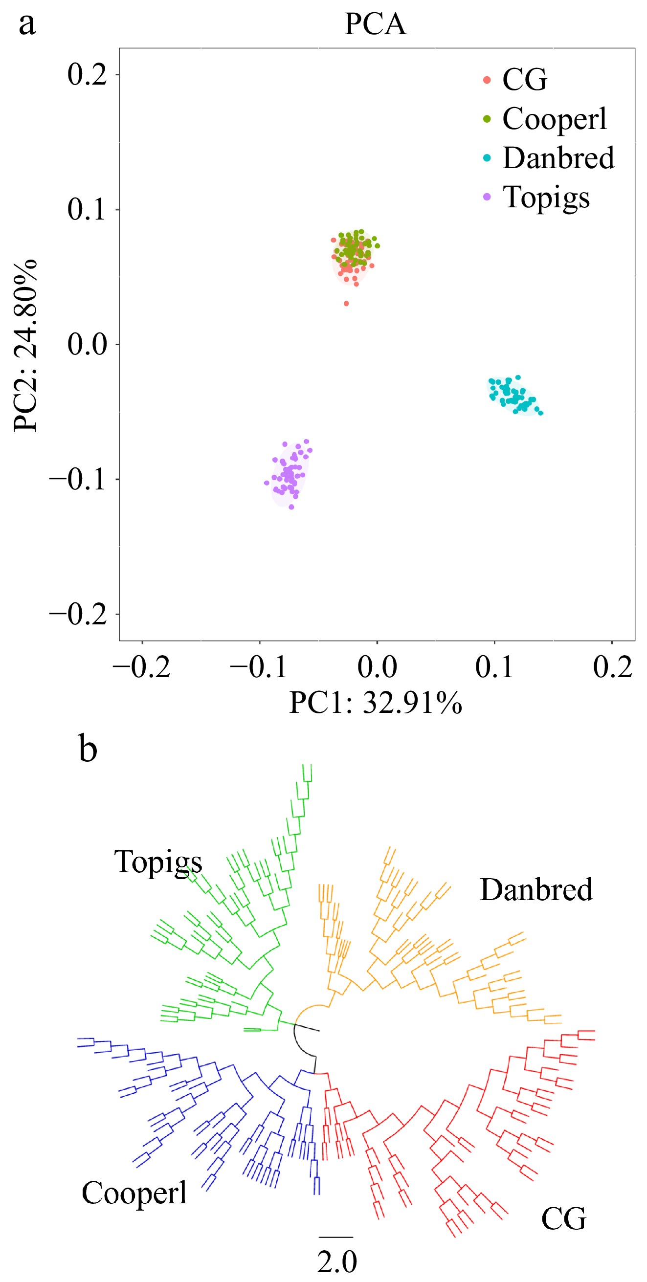 Genome-wide selection signature analysis identified new candidate genes ...
