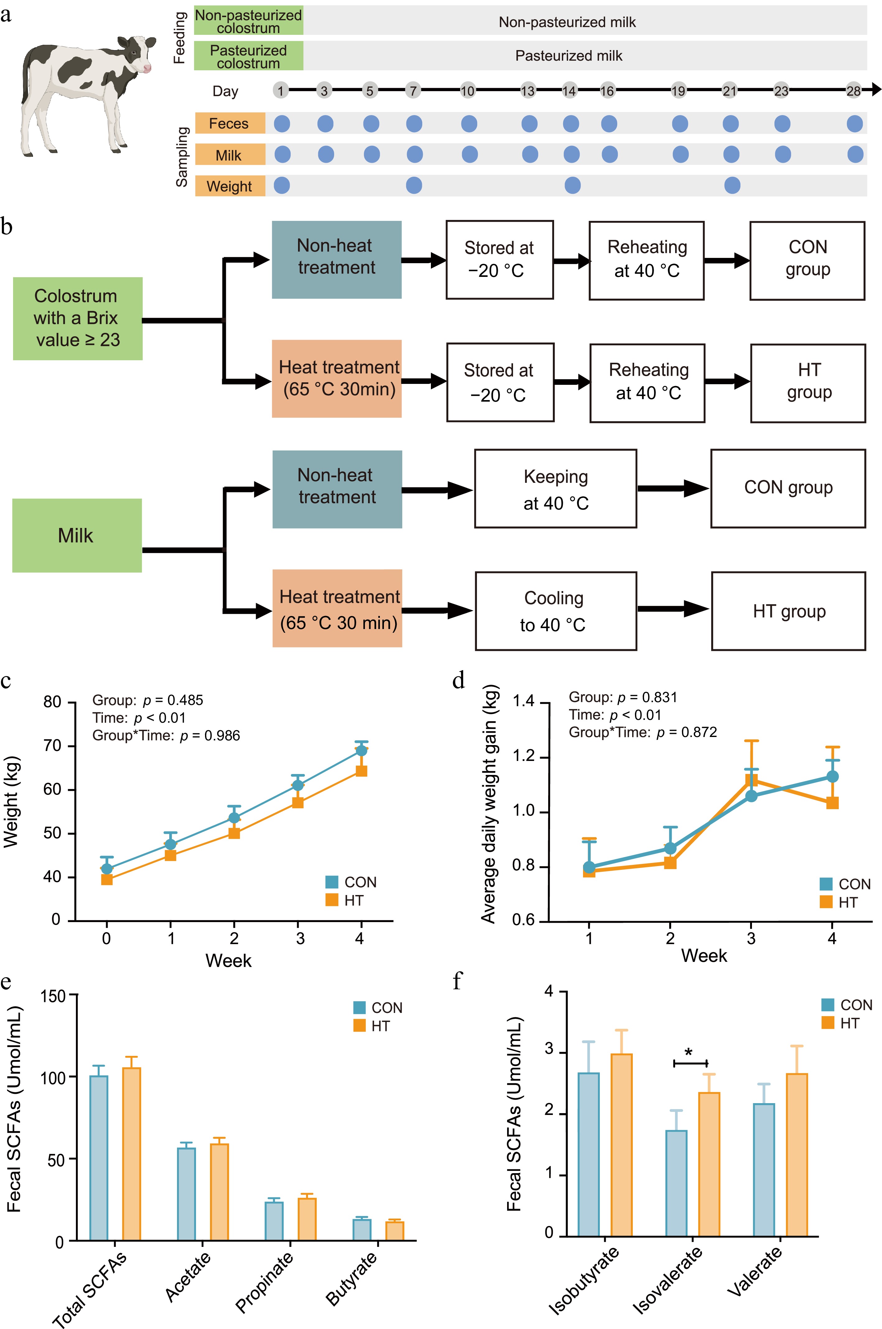 Non-pasteurized milk enhances early colonization and persistence of Lactobacillus species in ...