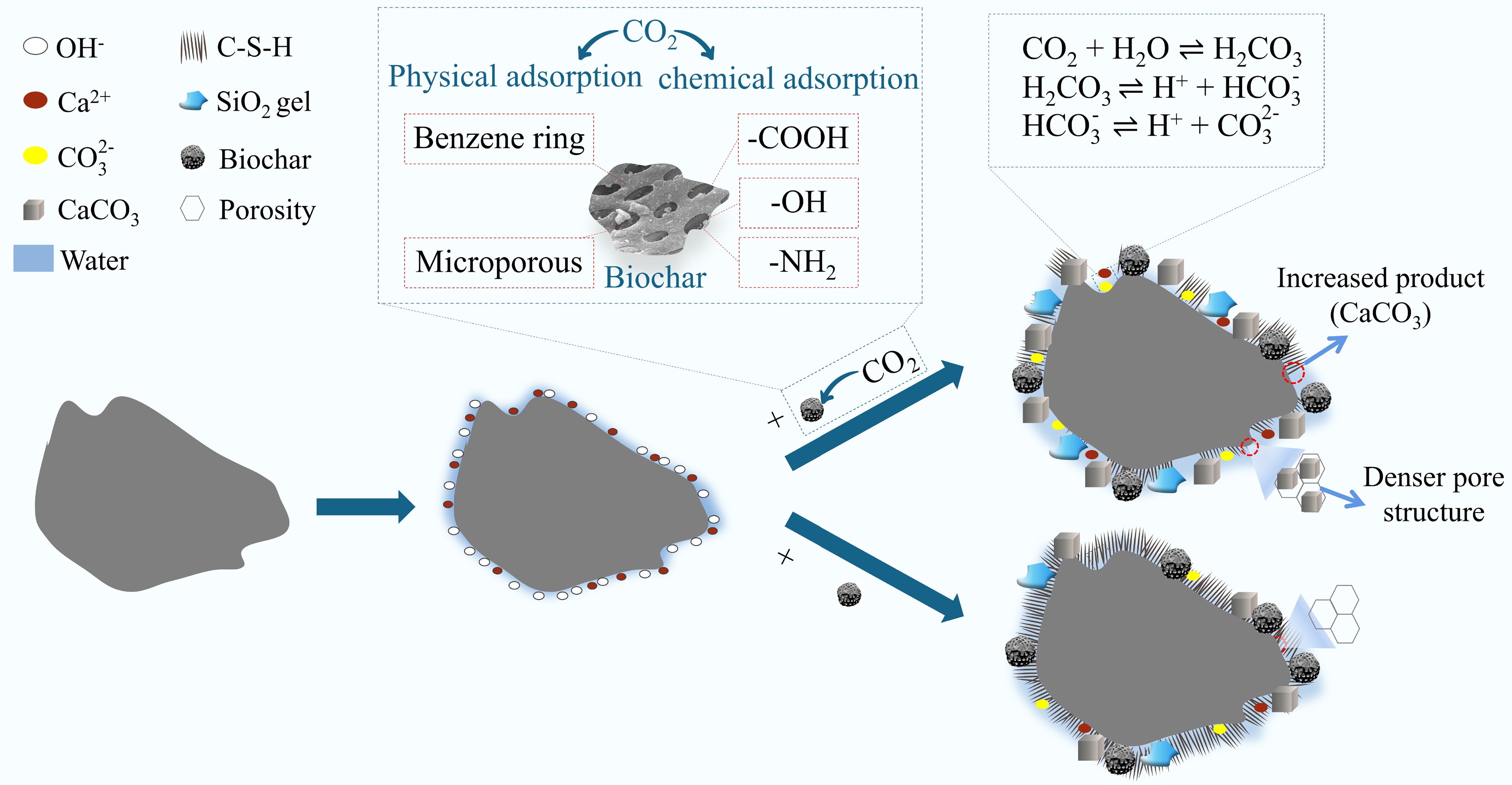 Investigation of the CO 2 adsorption behavior of alkali-modified ...
