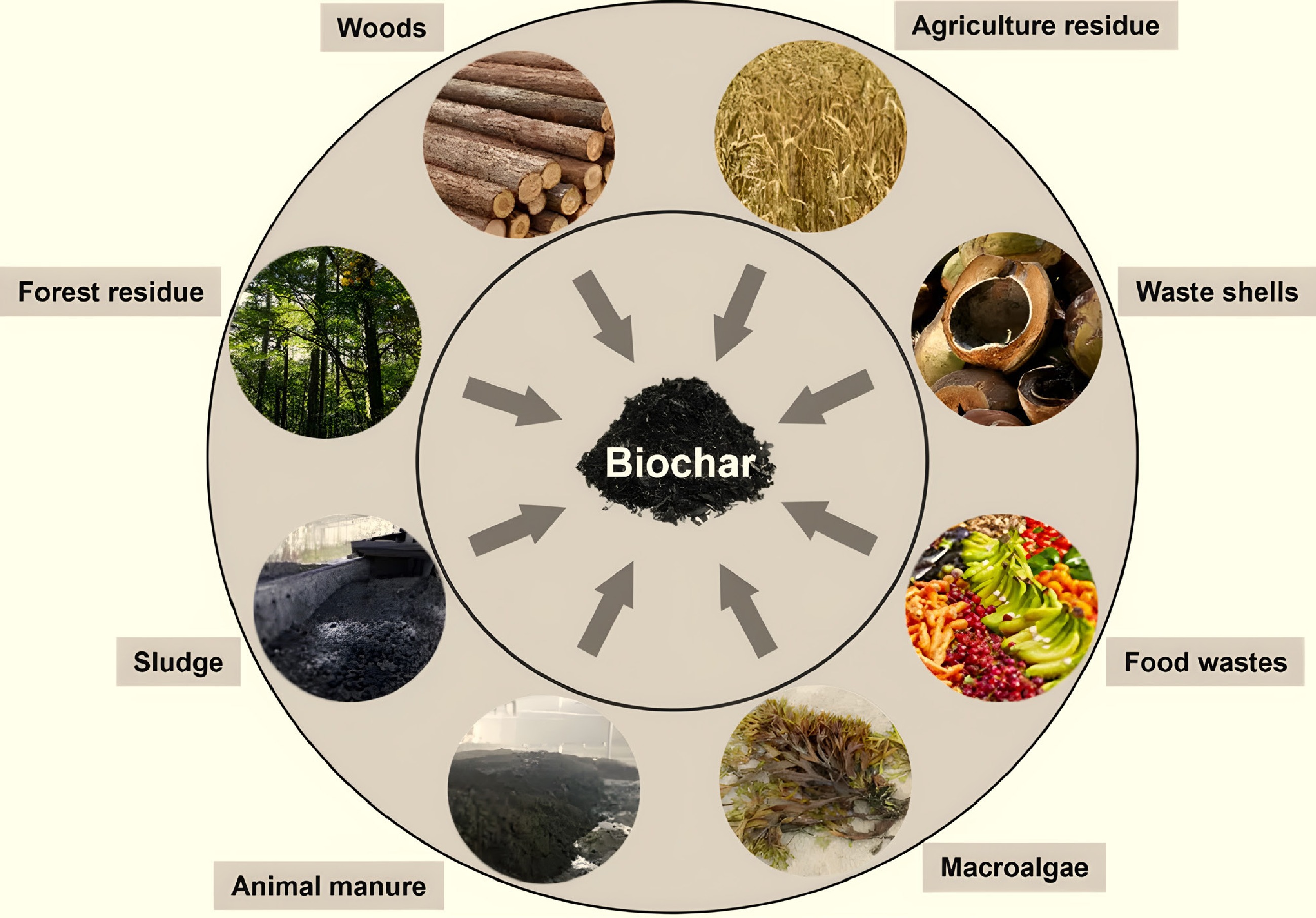 Advances in biochar modification for environmental remediation with ...