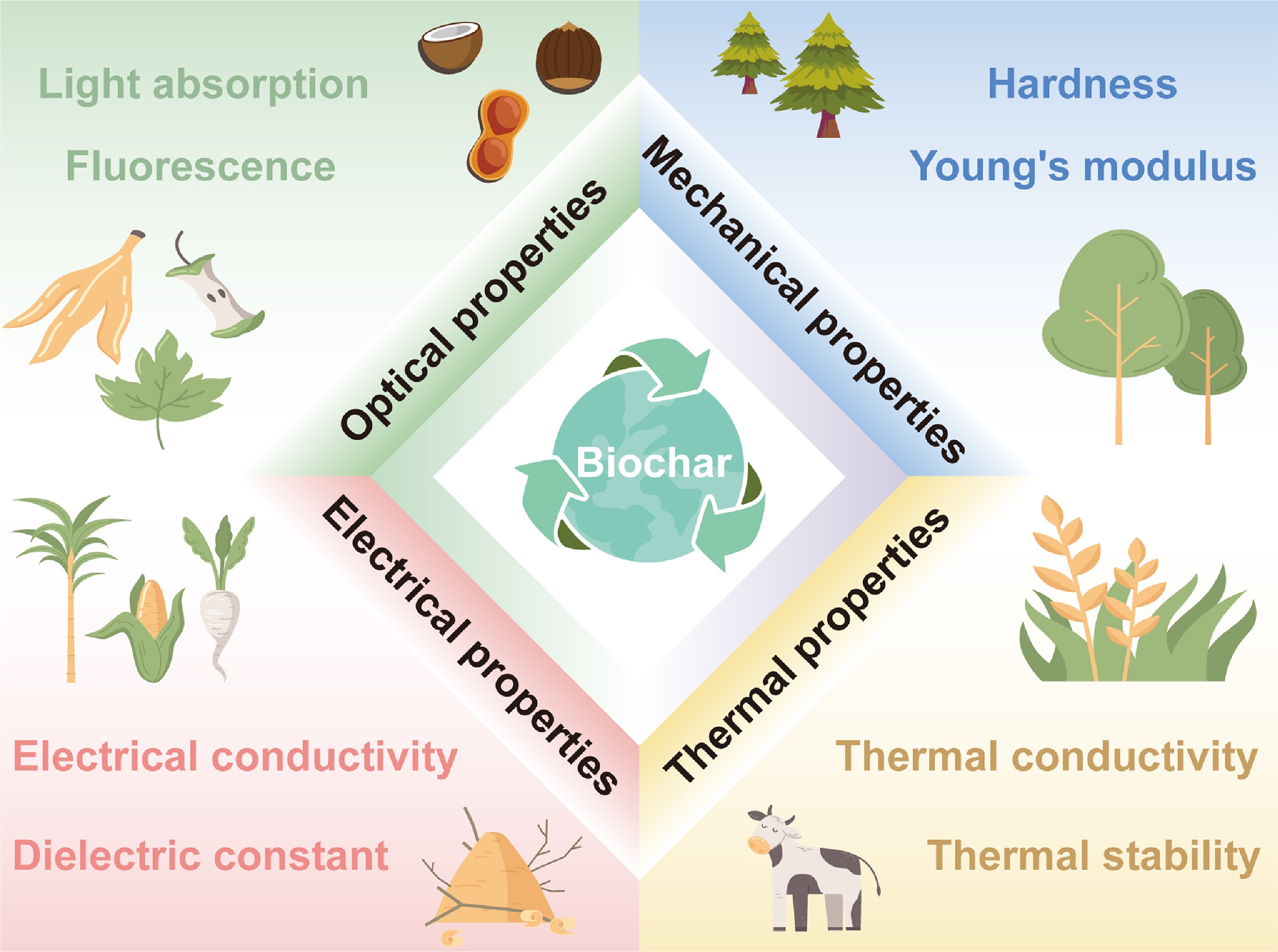 Unraveling the physical genome of biochar