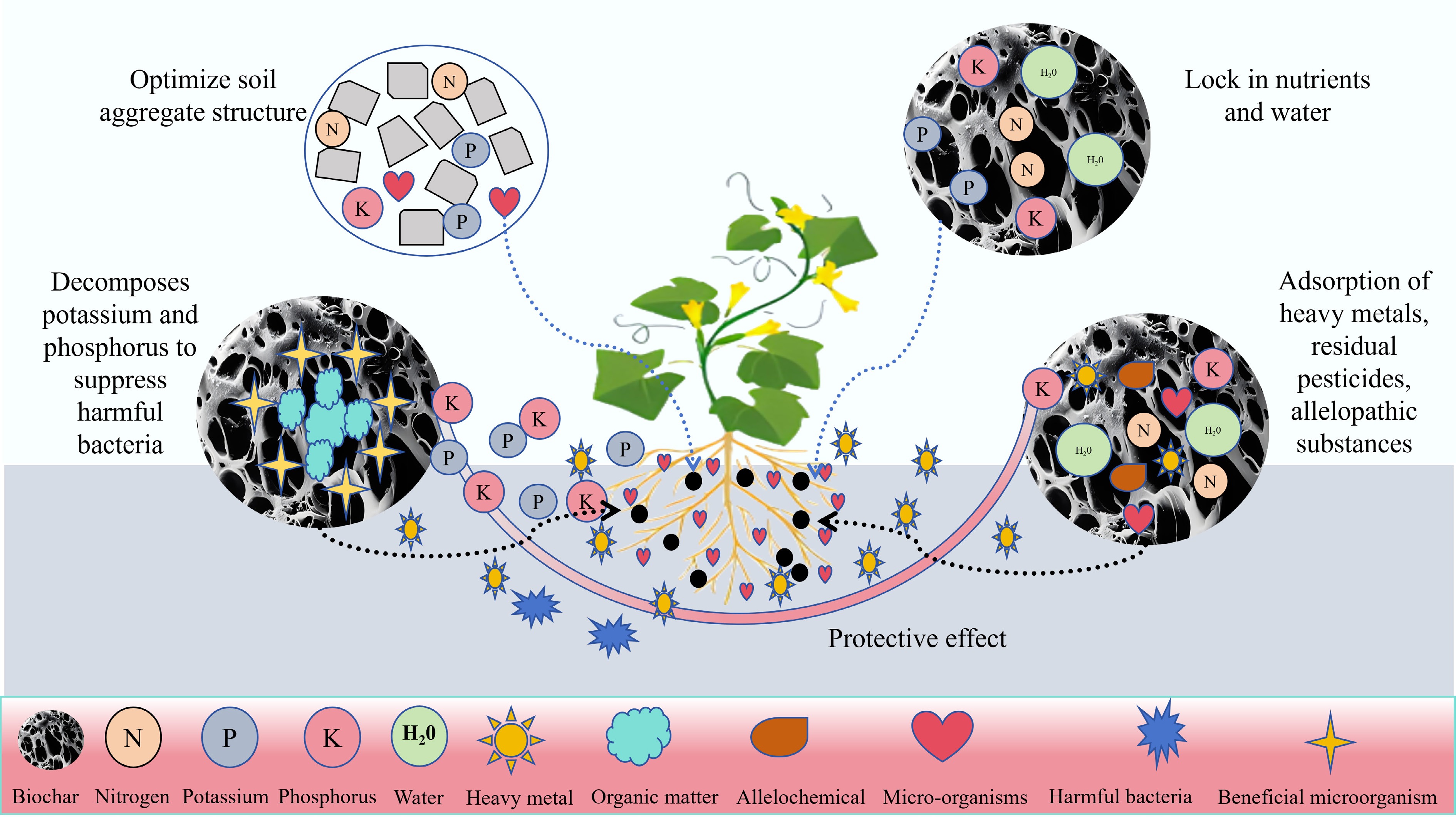 Application of biochar for the prevention and control of soil ...