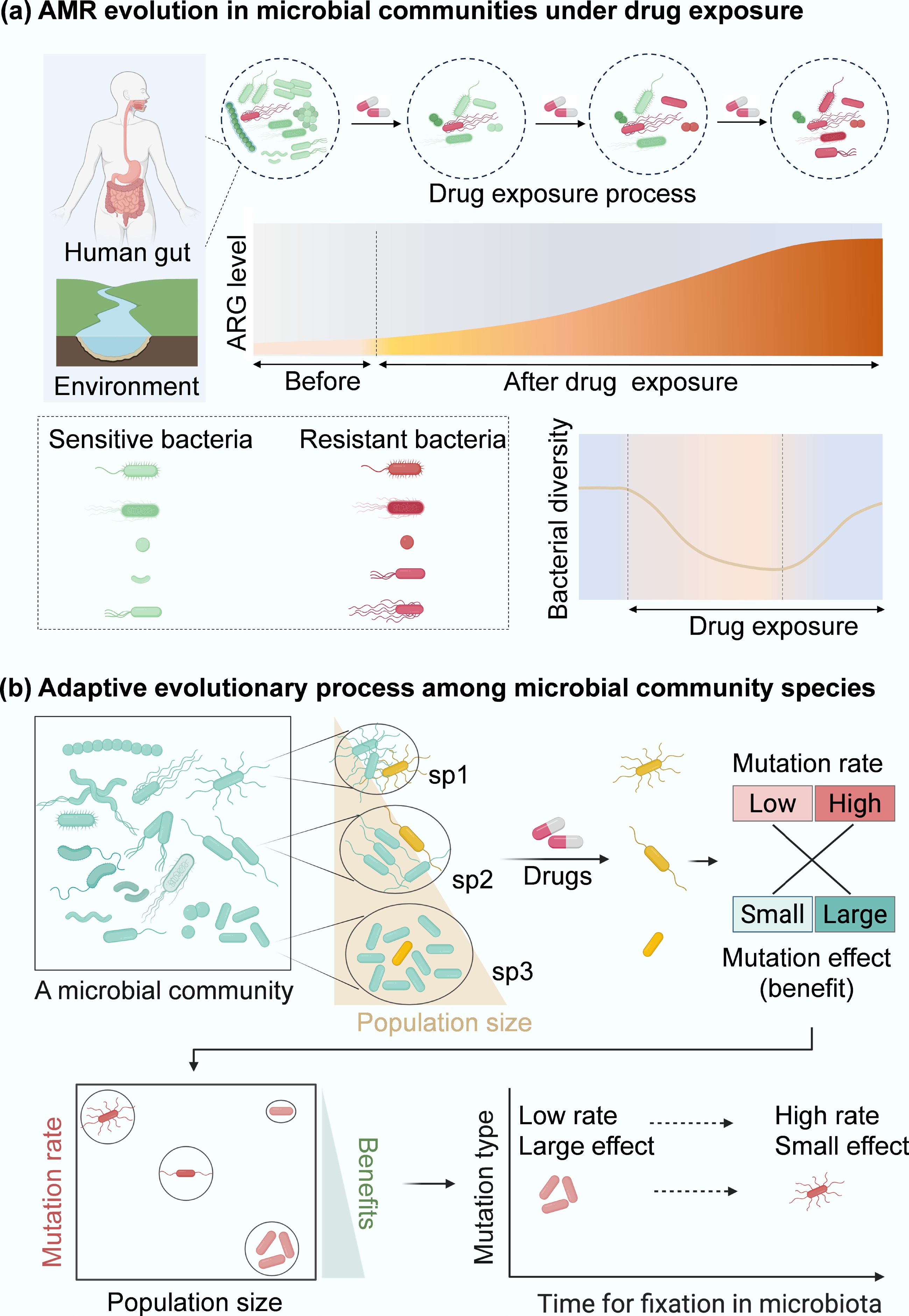 Antimicrobial resistance in complex microbiomes ecological evolution ...