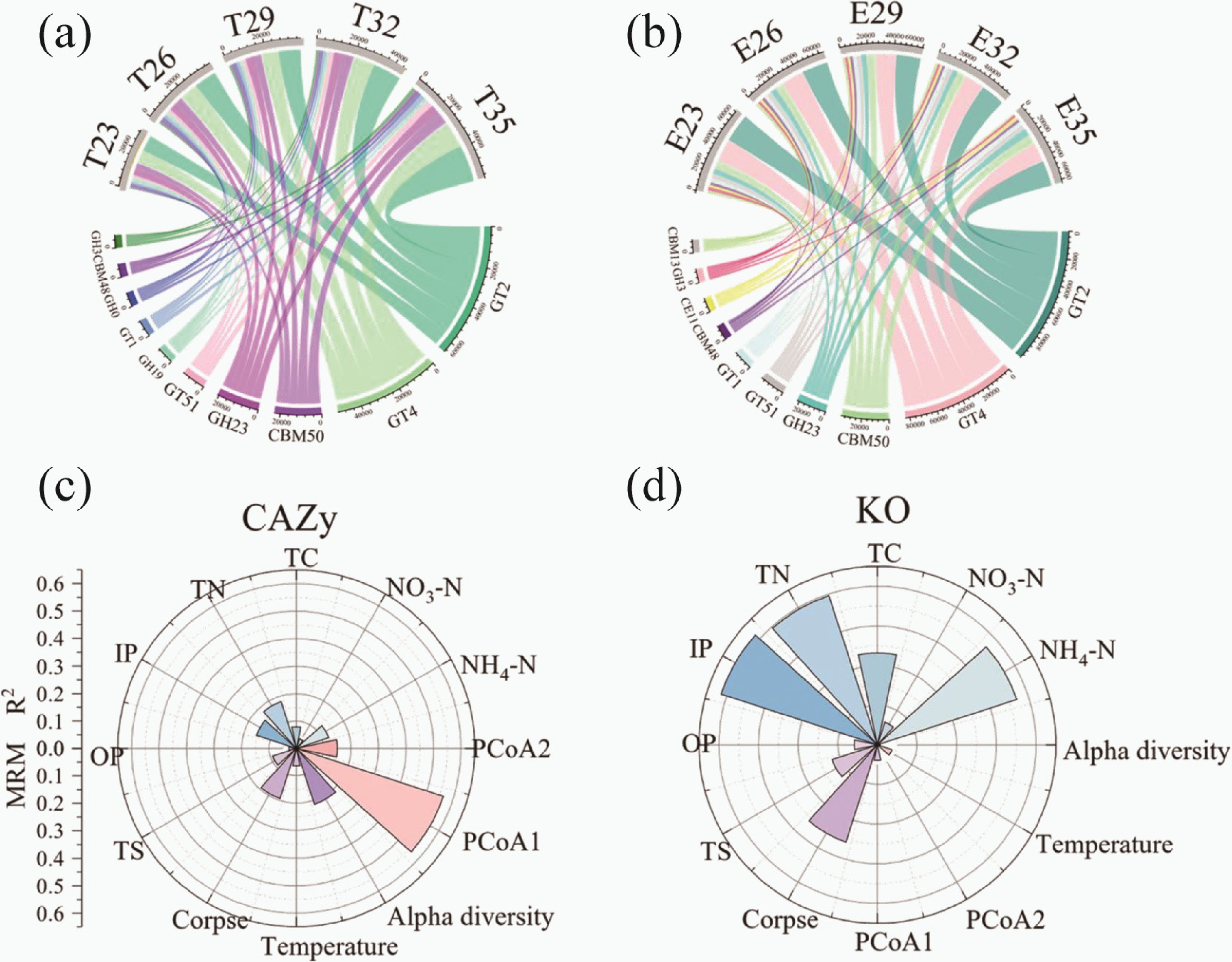 Animal corpse decomposition under elevating temperature a metabolic ...