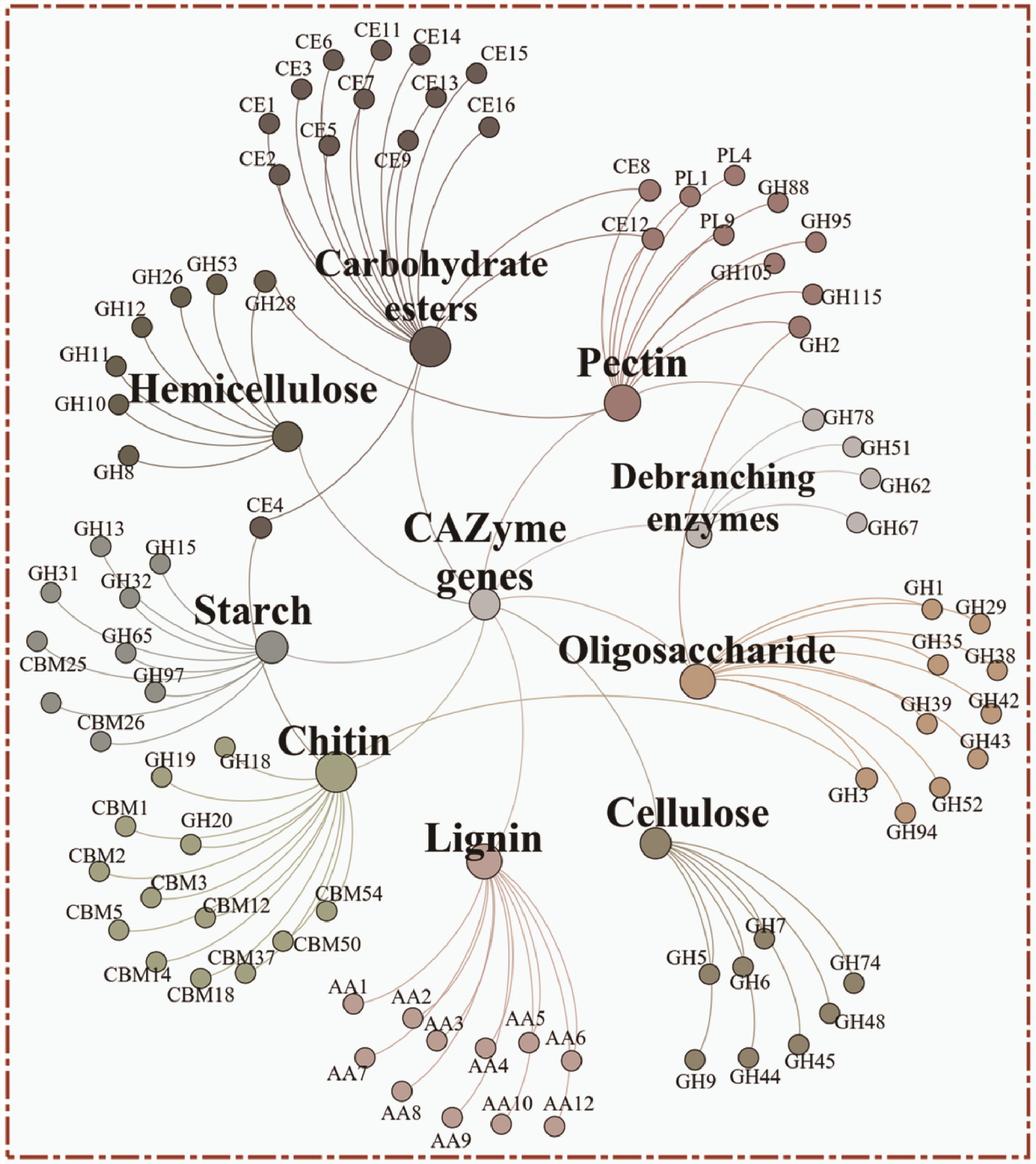 Animal corpse decomposition under elevating temperature a metabolic ...