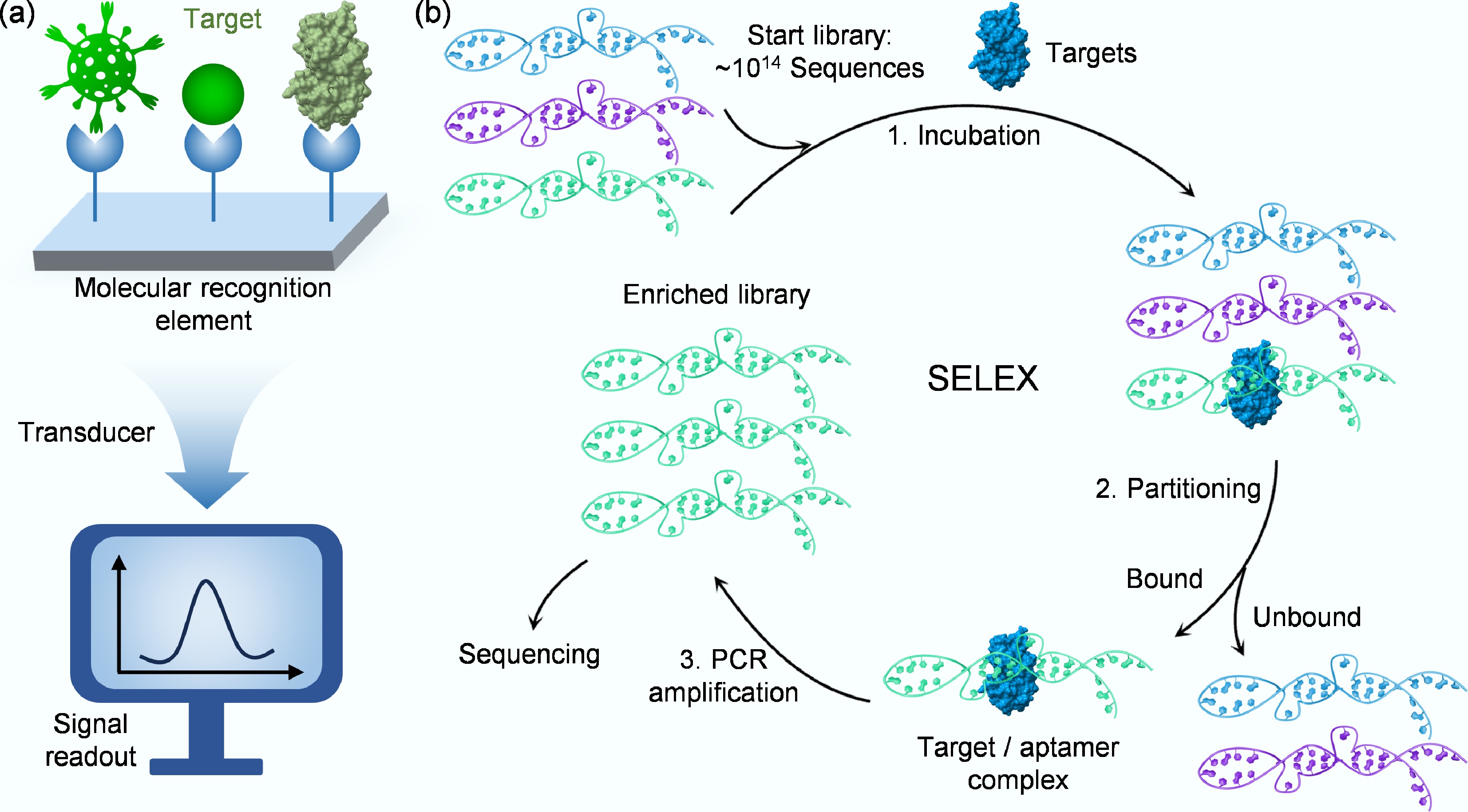 Recent advances in aptamer-based biosensors for viral detection