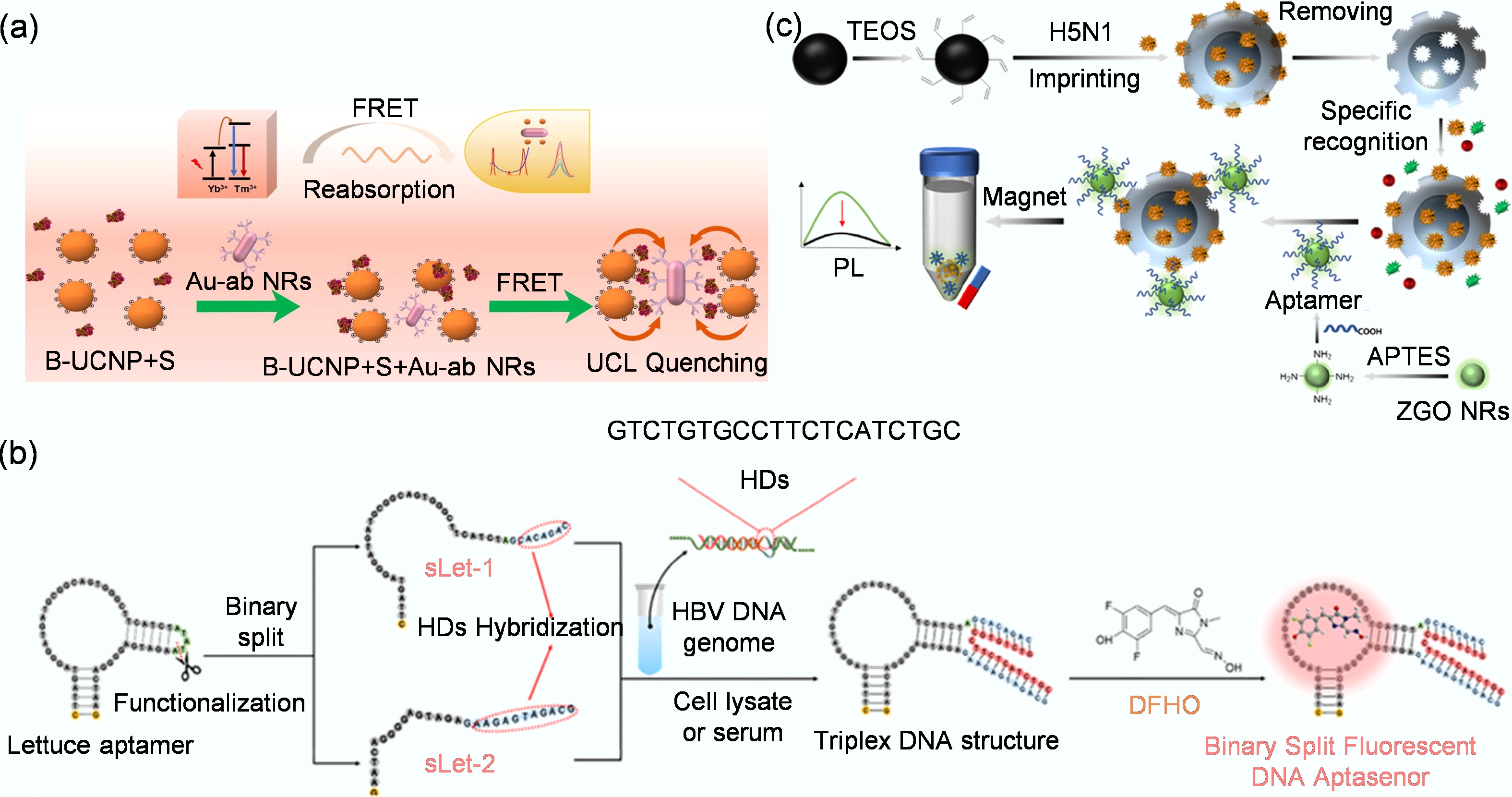 Recent advances in aptamer-based biosensors for viral detection