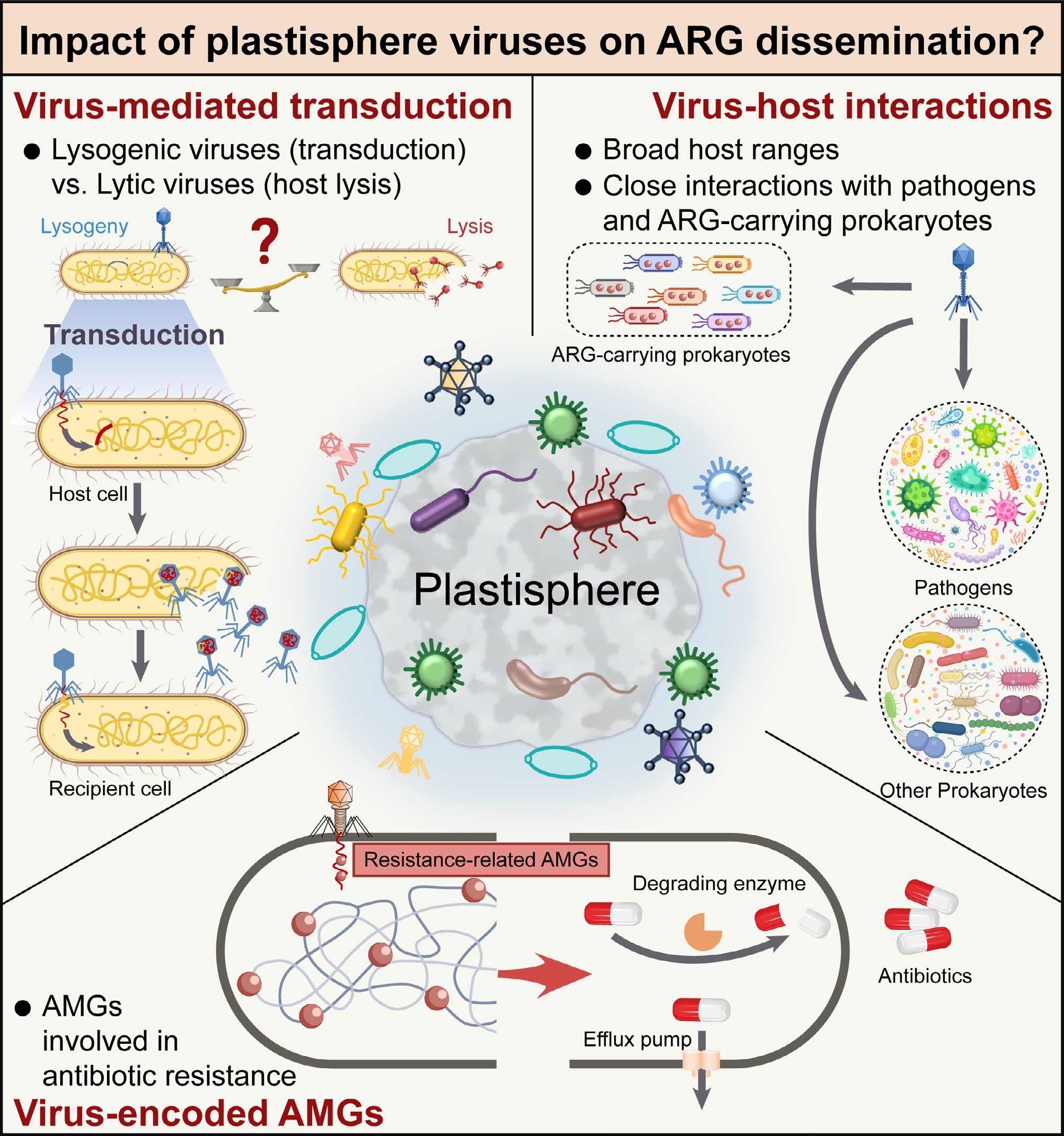 Plastisphere viruses hidden drivers of antibiotic resistance dissemination