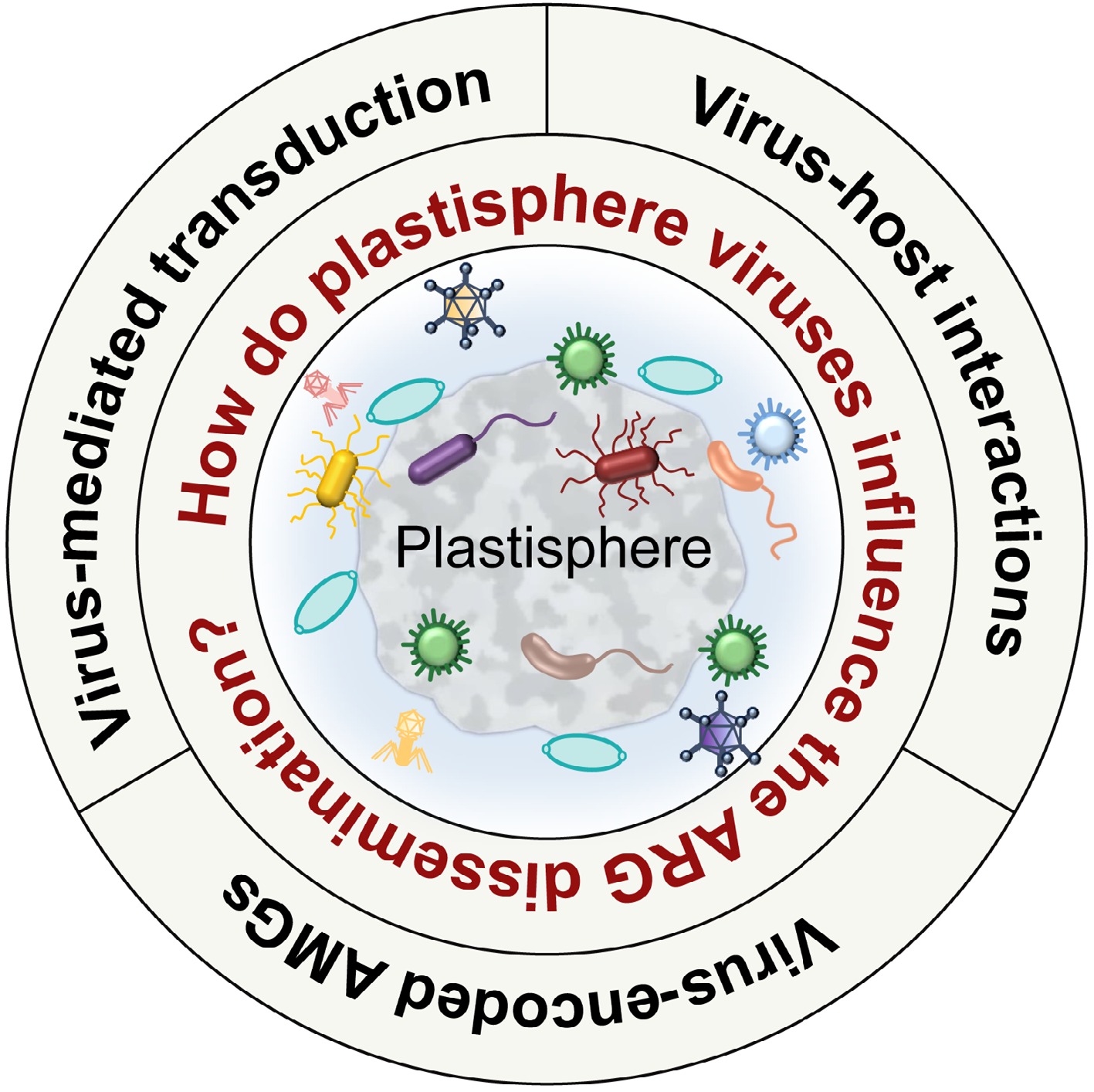 Plastisphere viruses hidden drivers of antibiotic resistance dissemination