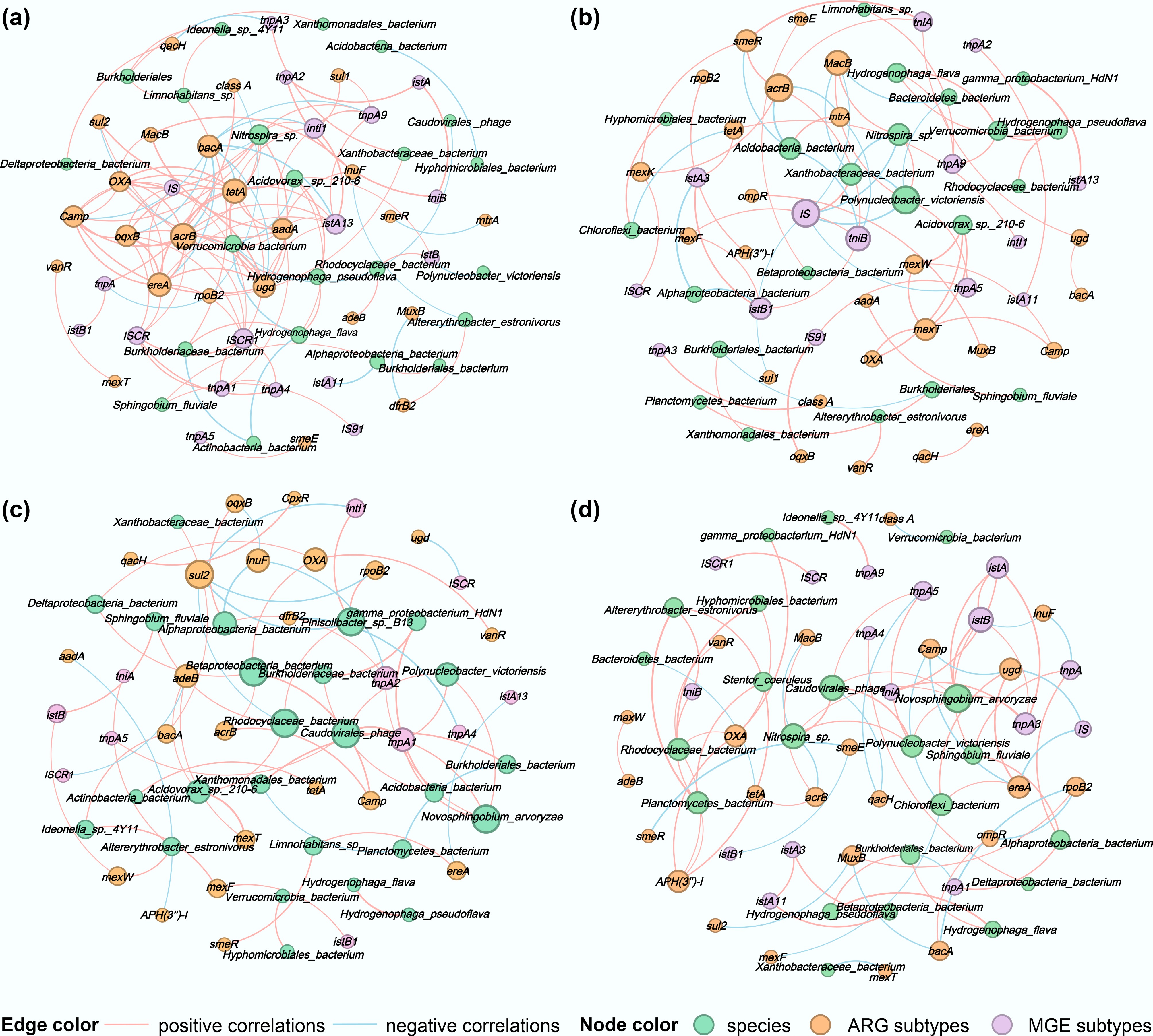 Biodegradable and non-biodegradable plastics foster unique regimes of ...