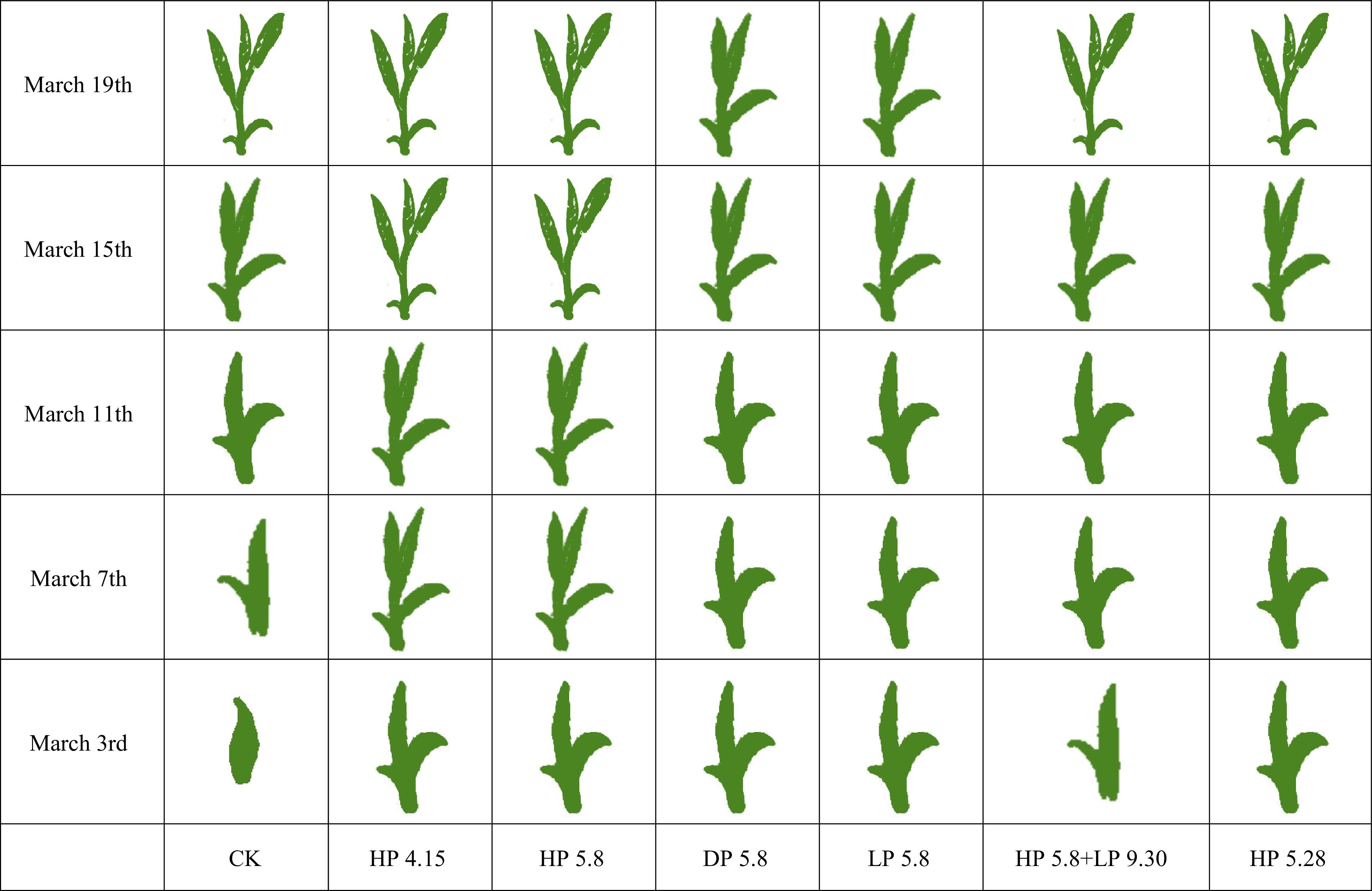 Effect of different pruning operations on the plant growth ...