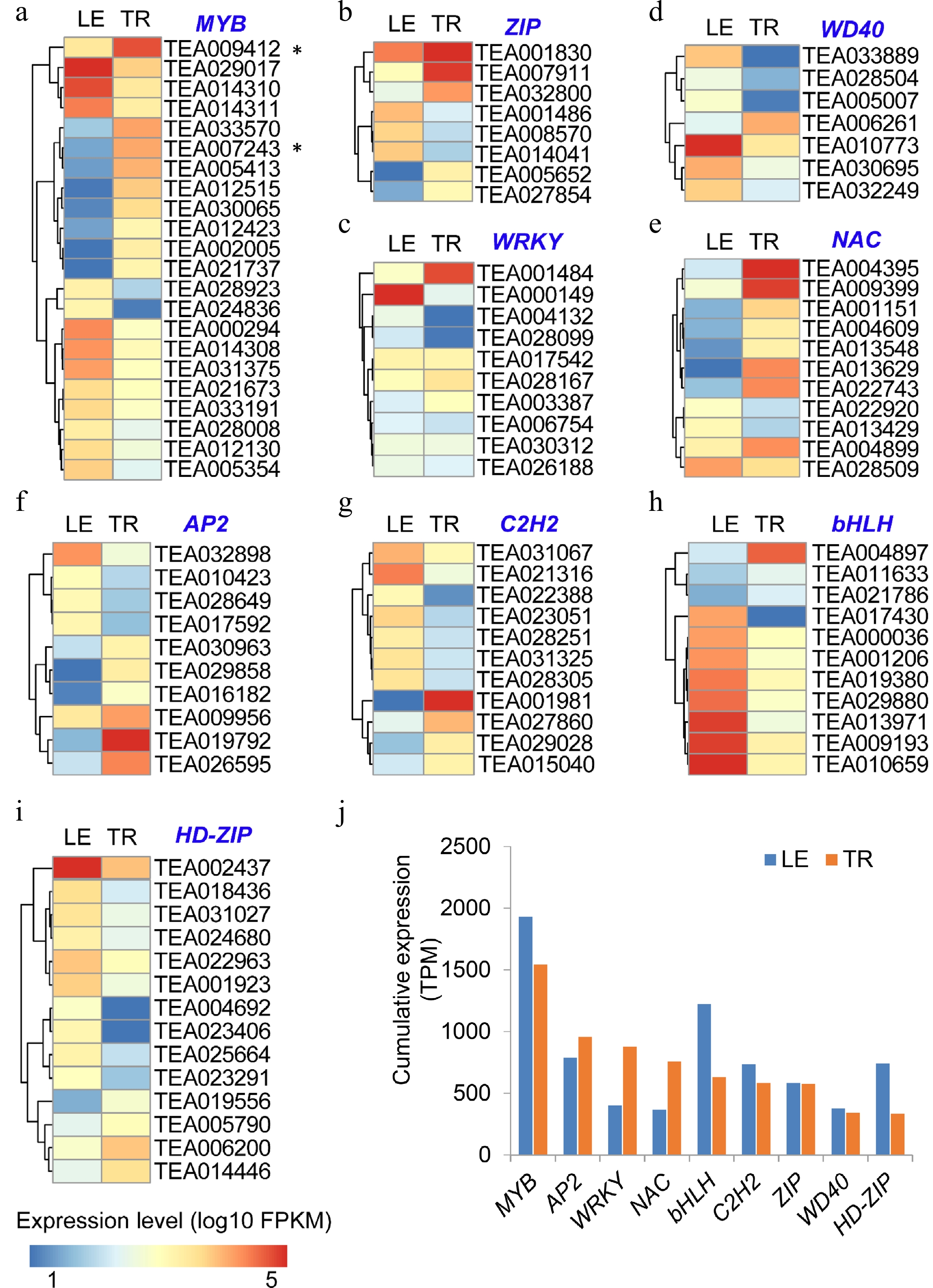 Roles of trichomes in tea plant resistance against multiple abiotic and ...