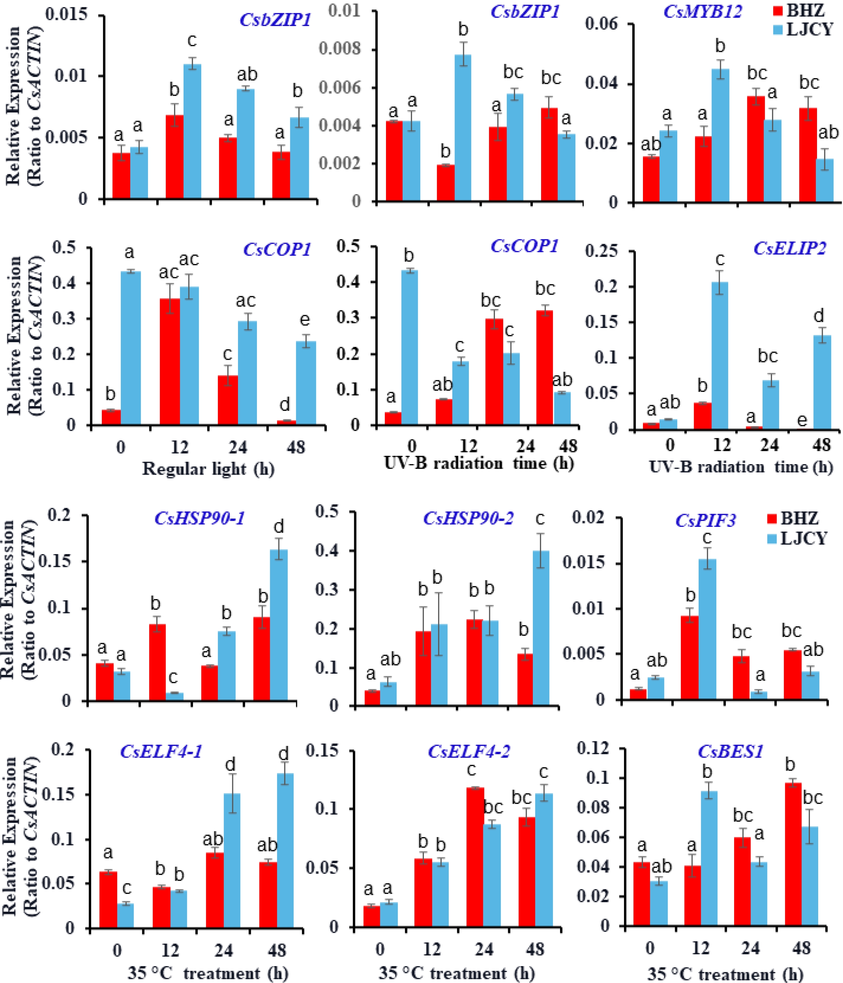 Roles of trichomes in tea plant resistance against multiple abiotic and ...