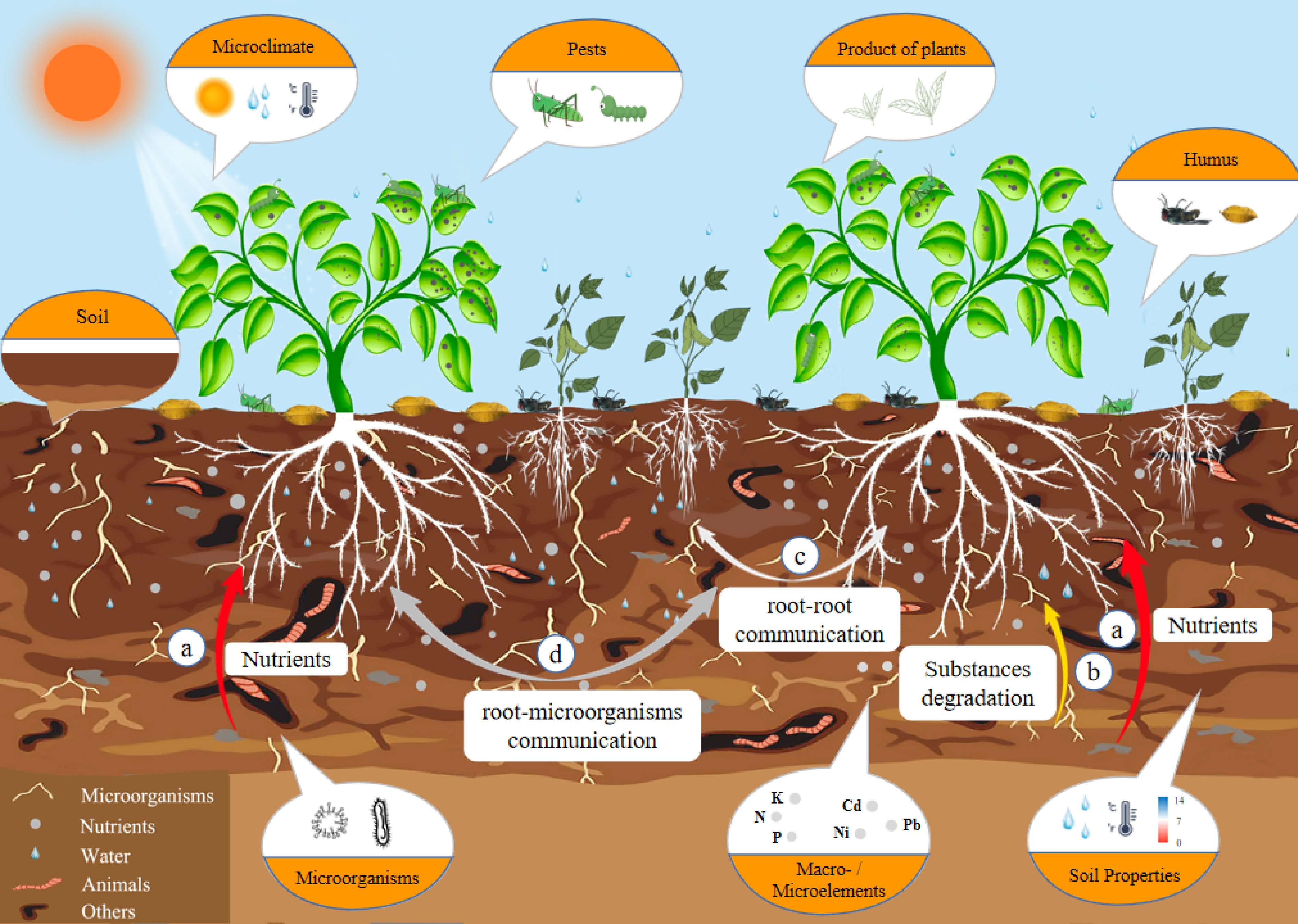Progress and perspective on intercropping patterns in tea plantations