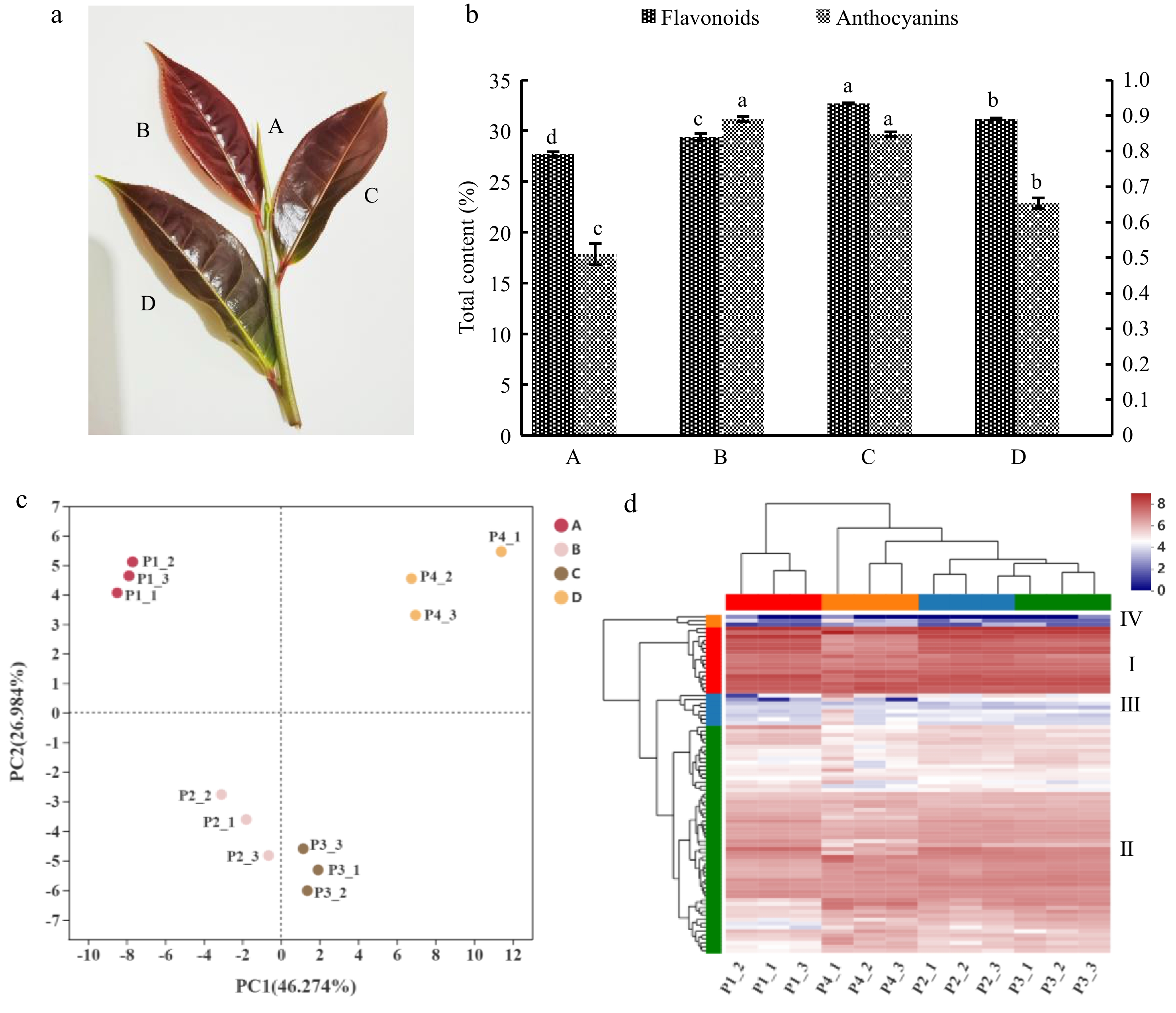 Integrated transcriptome and metabolome provide insights into flavonoid biosynthesis in 'P113 ...