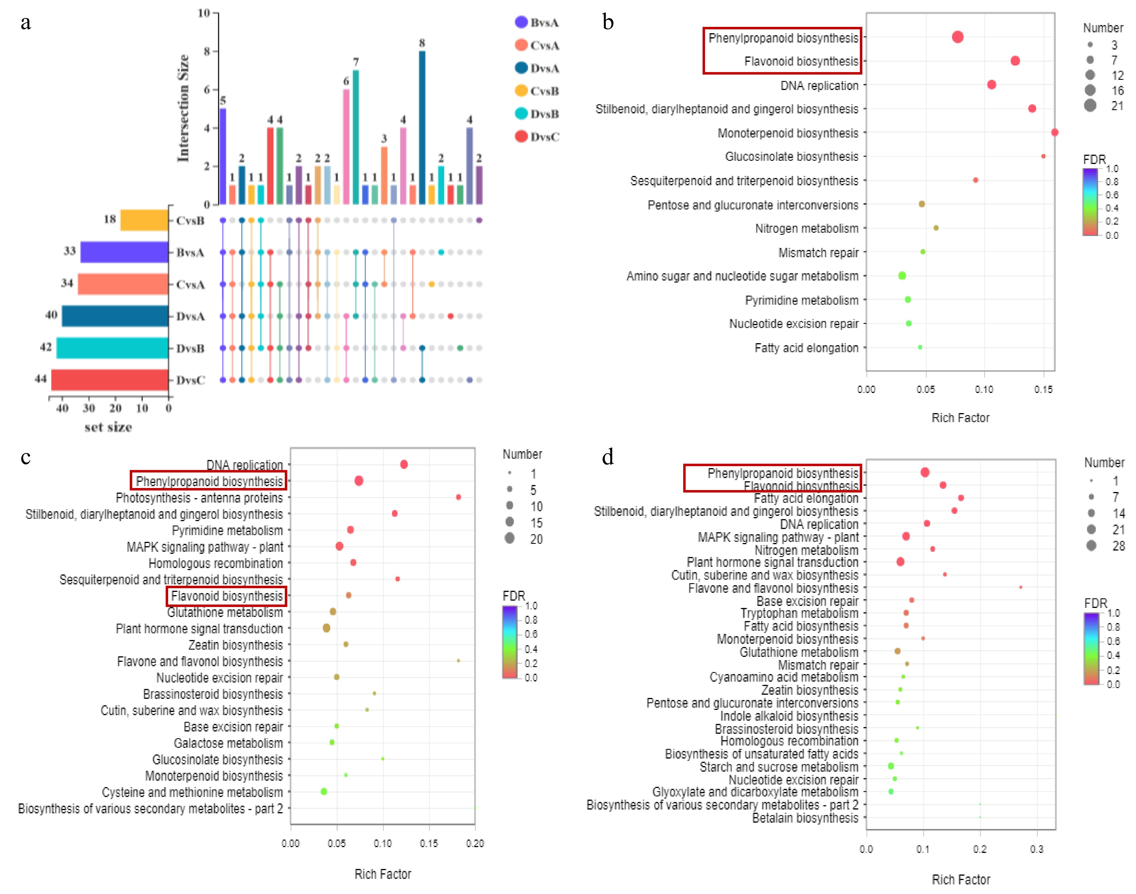 Integrated transcriptome and metabolome provide insights into flavonoid ...