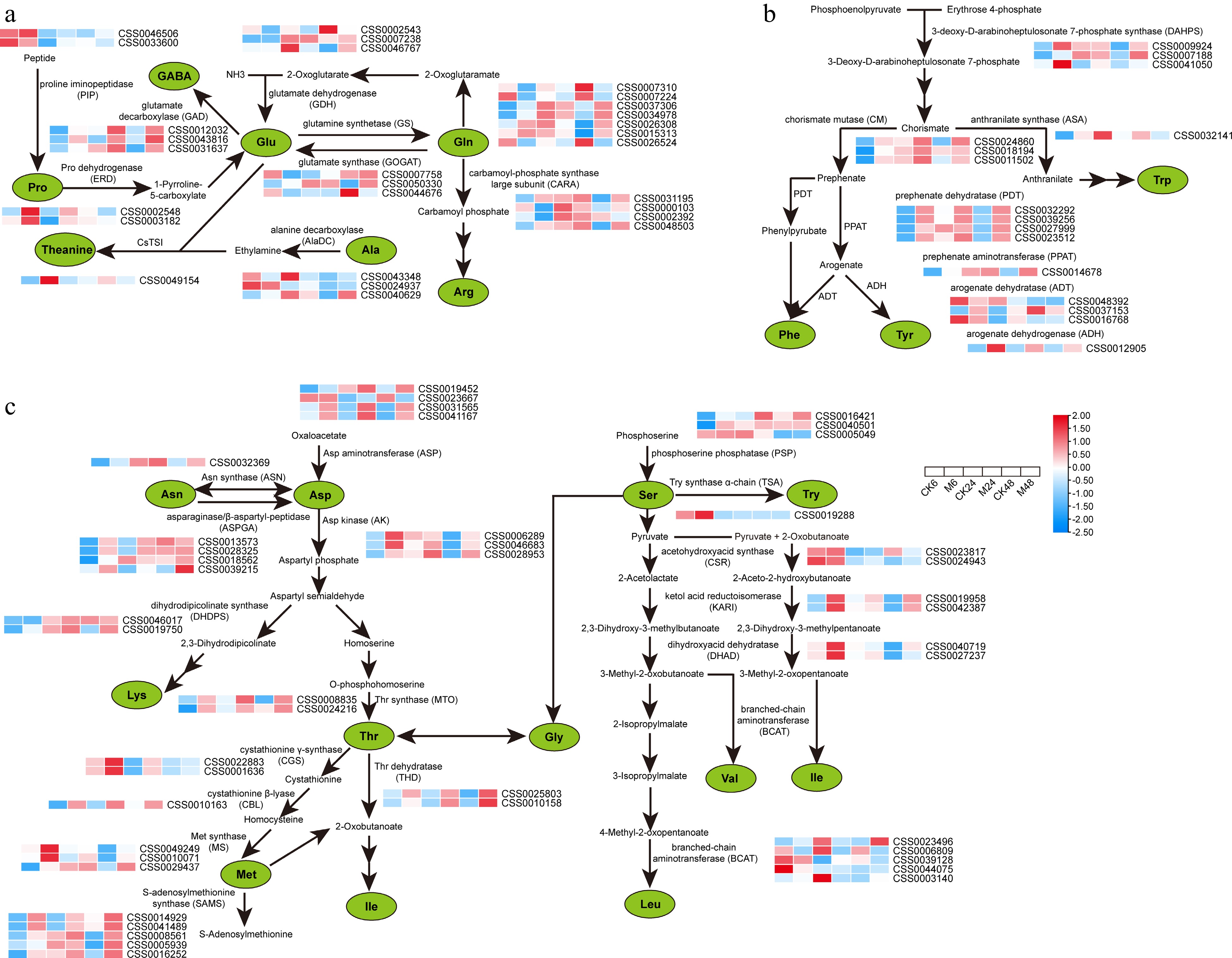 Transcriptome And Co Expression Network Analysis Uncover The Key Genes