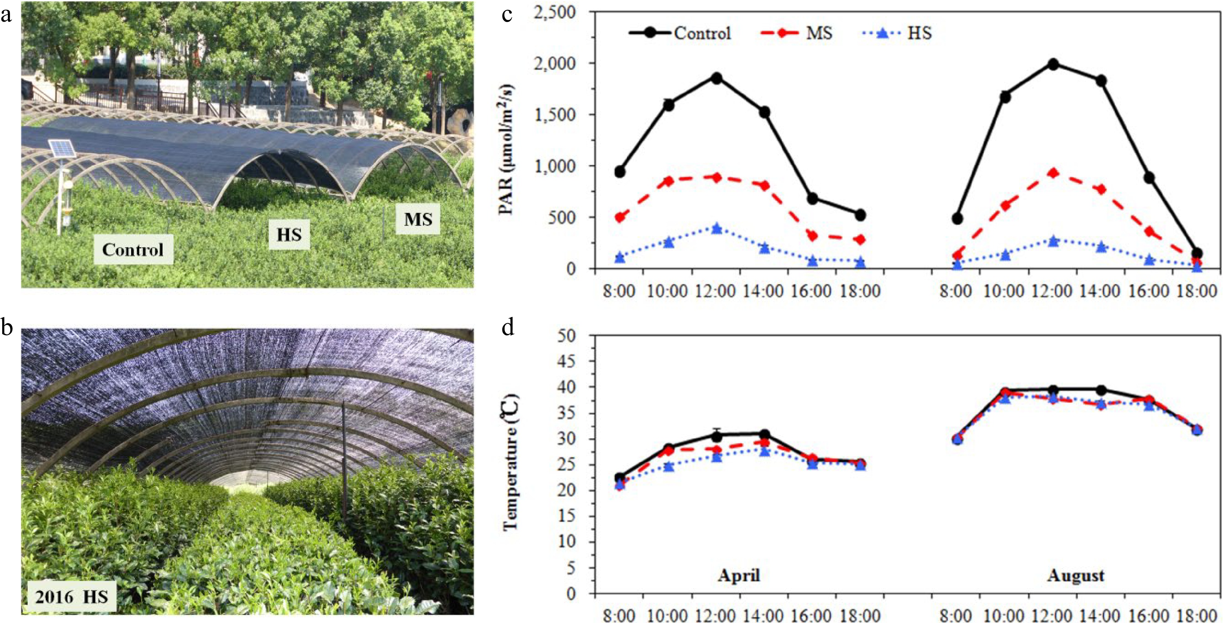 Shading effects revisited Comparisons of spring and autumn shading ...