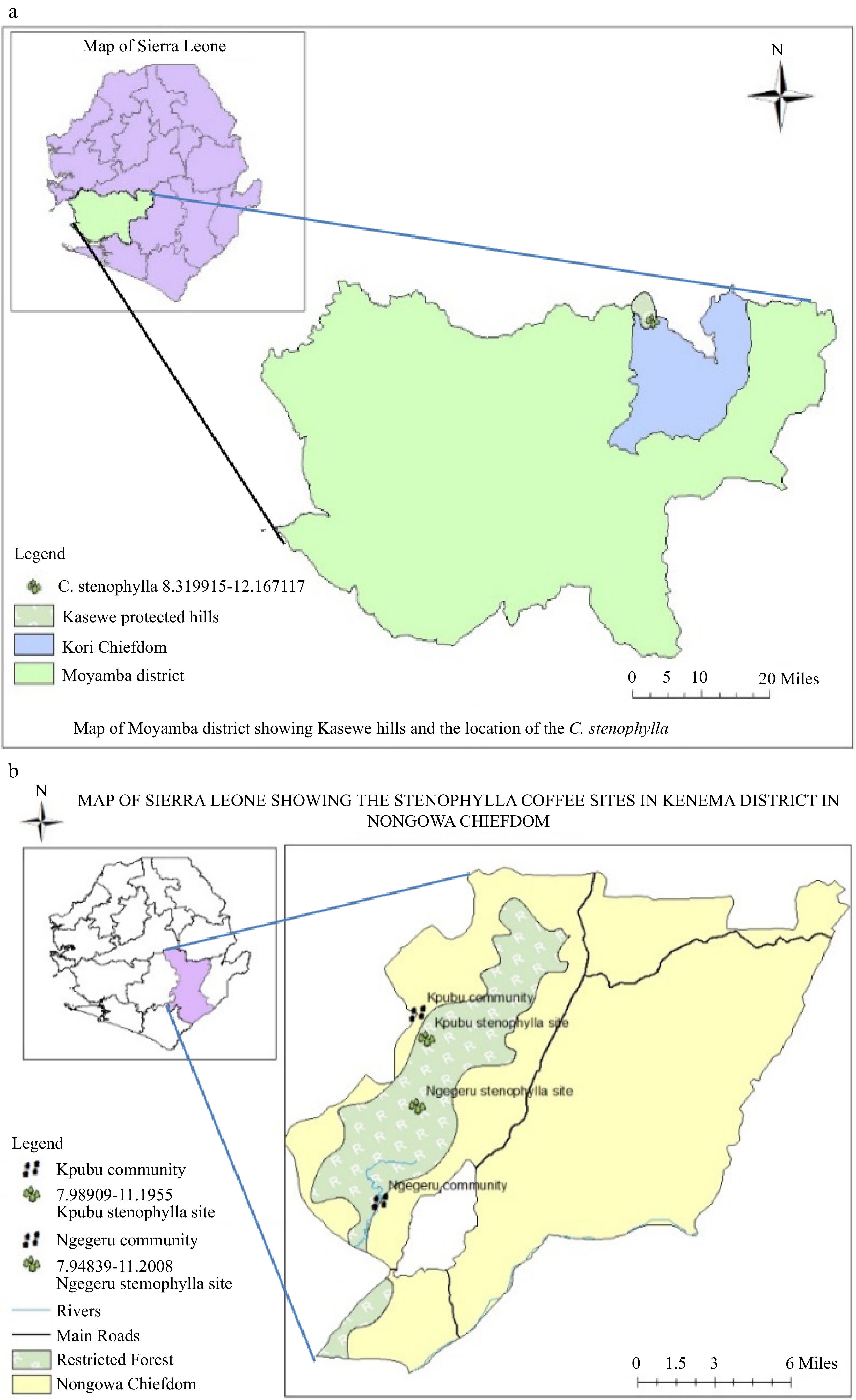 Phenotypic diversity of wild Sierra Leonean coffee ( Coffea stenophylla ...