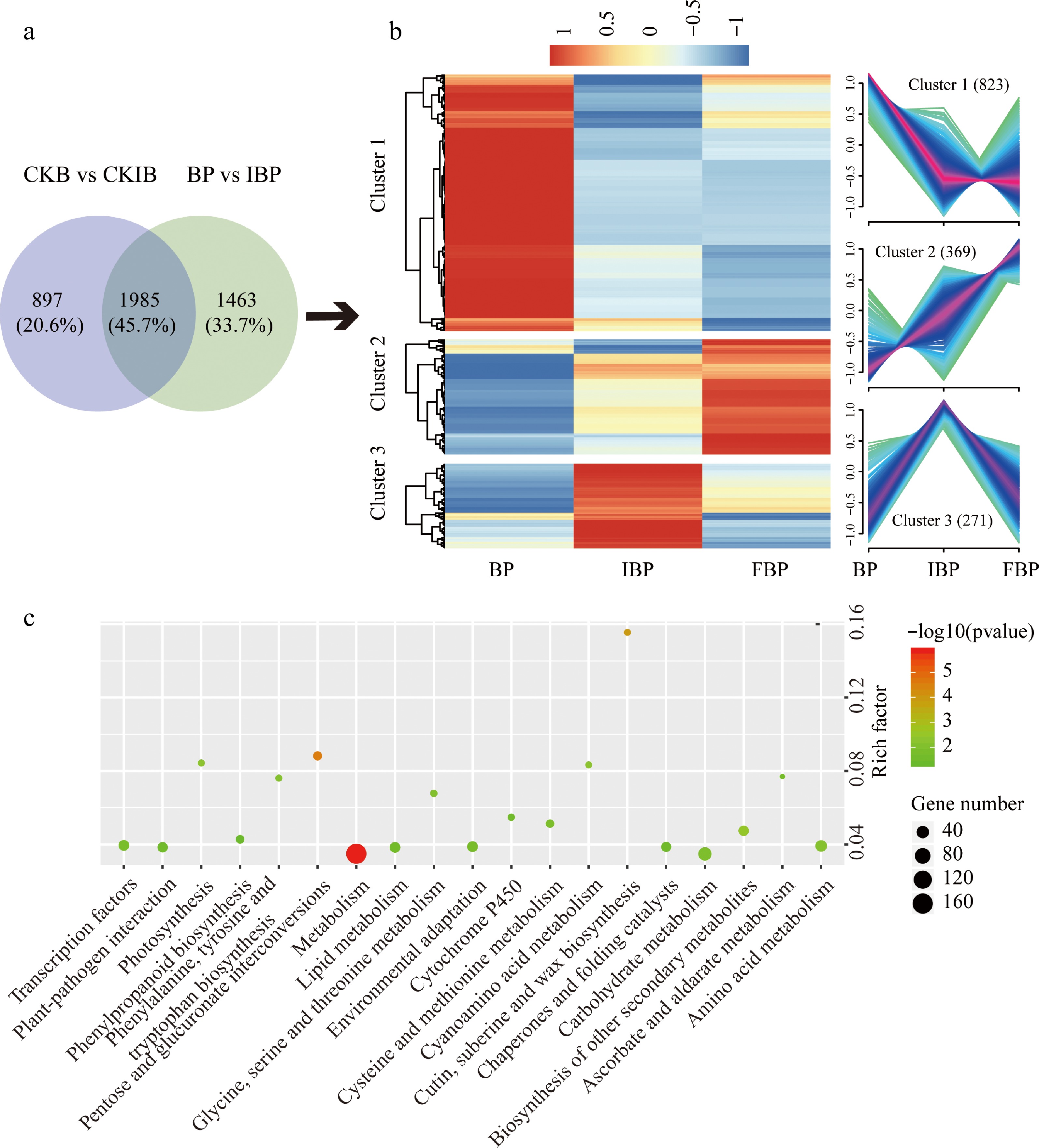 Cytological and transcriptional insights of late-acting self ...