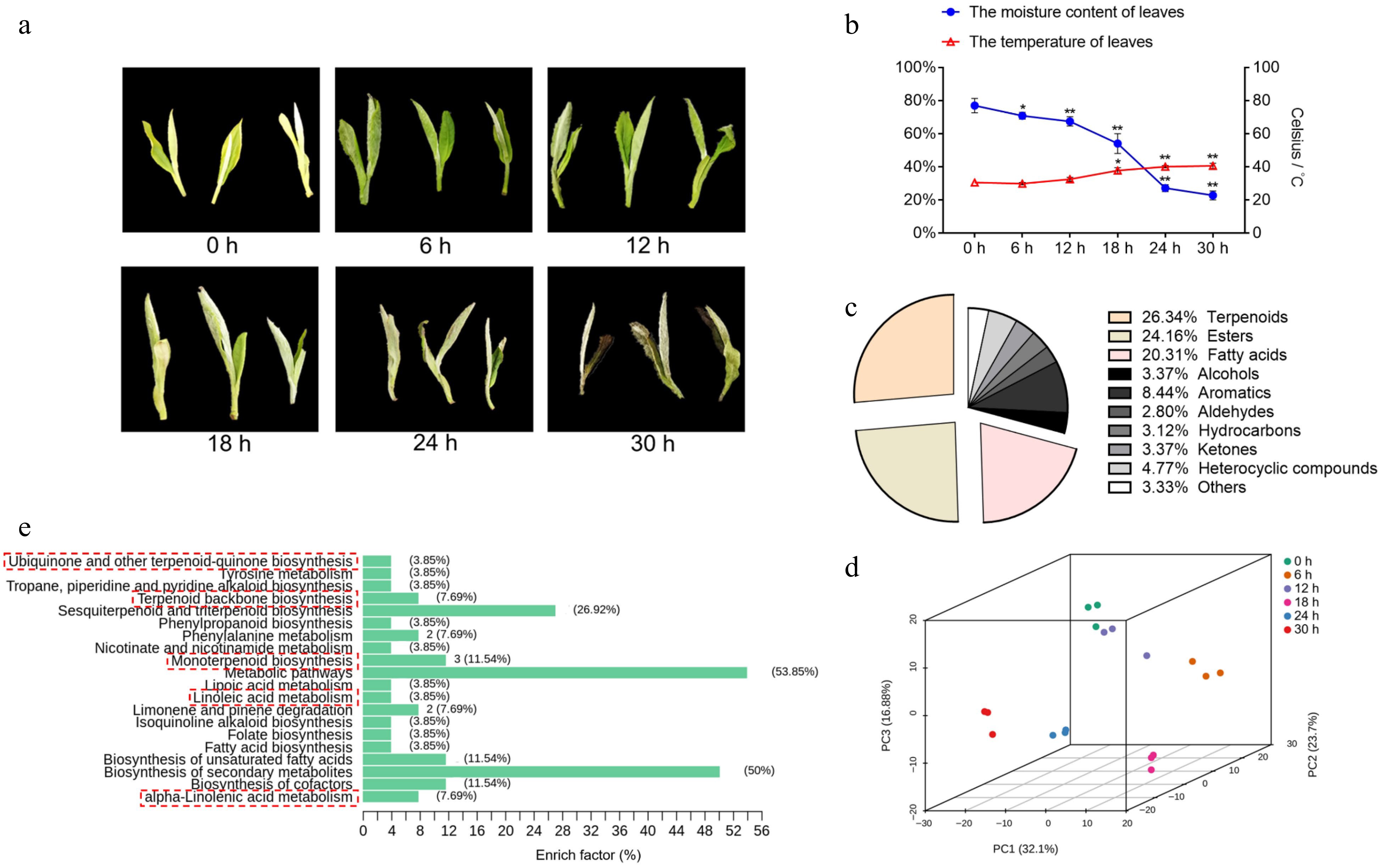 Combined metabolic phenotypes and gene expression profiles revealed the ...