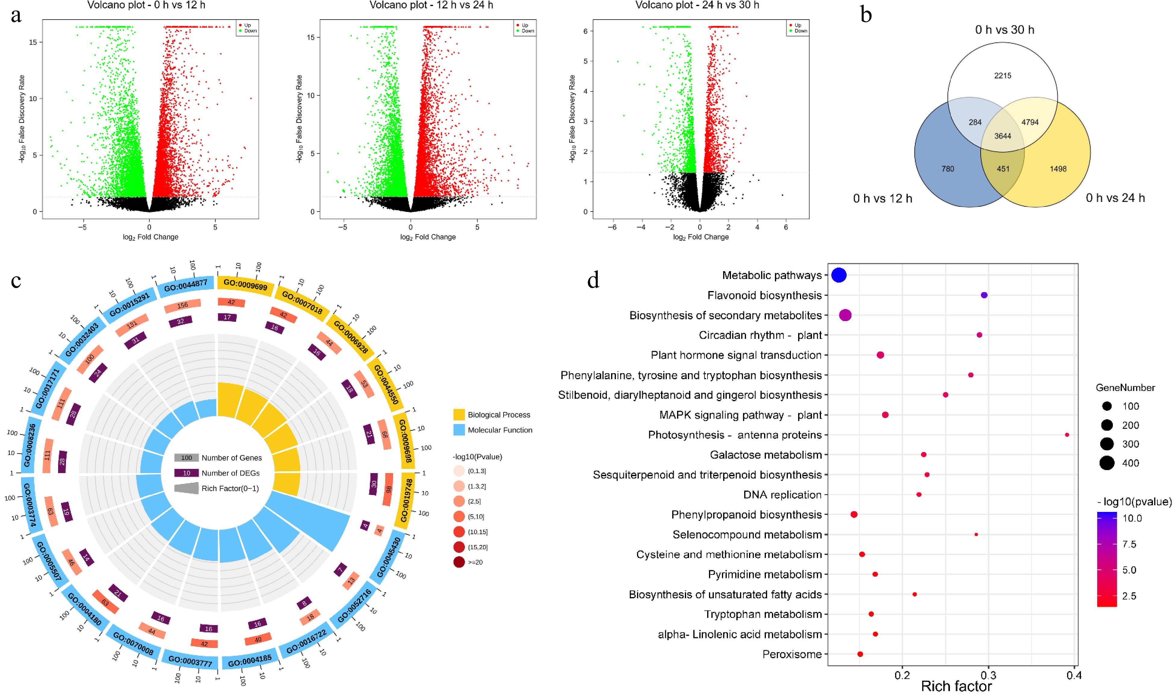 Combined metabolic phenotypes and gene expression profiles revealed the ...