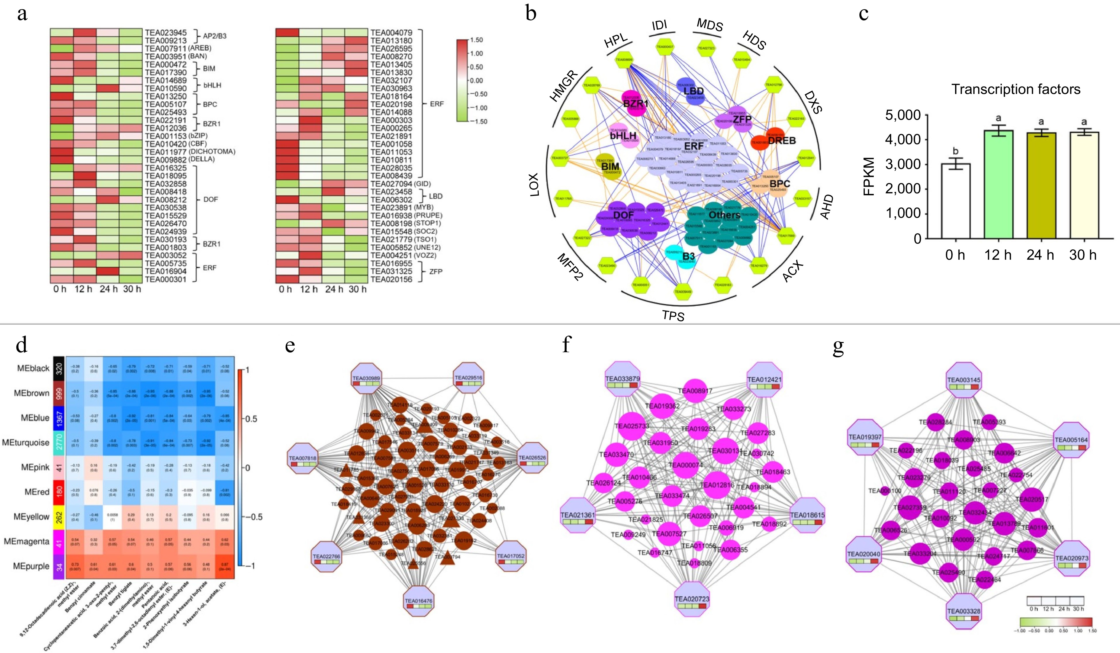 Combined metabolic phenotypes and gene expression profiles revealed the ...