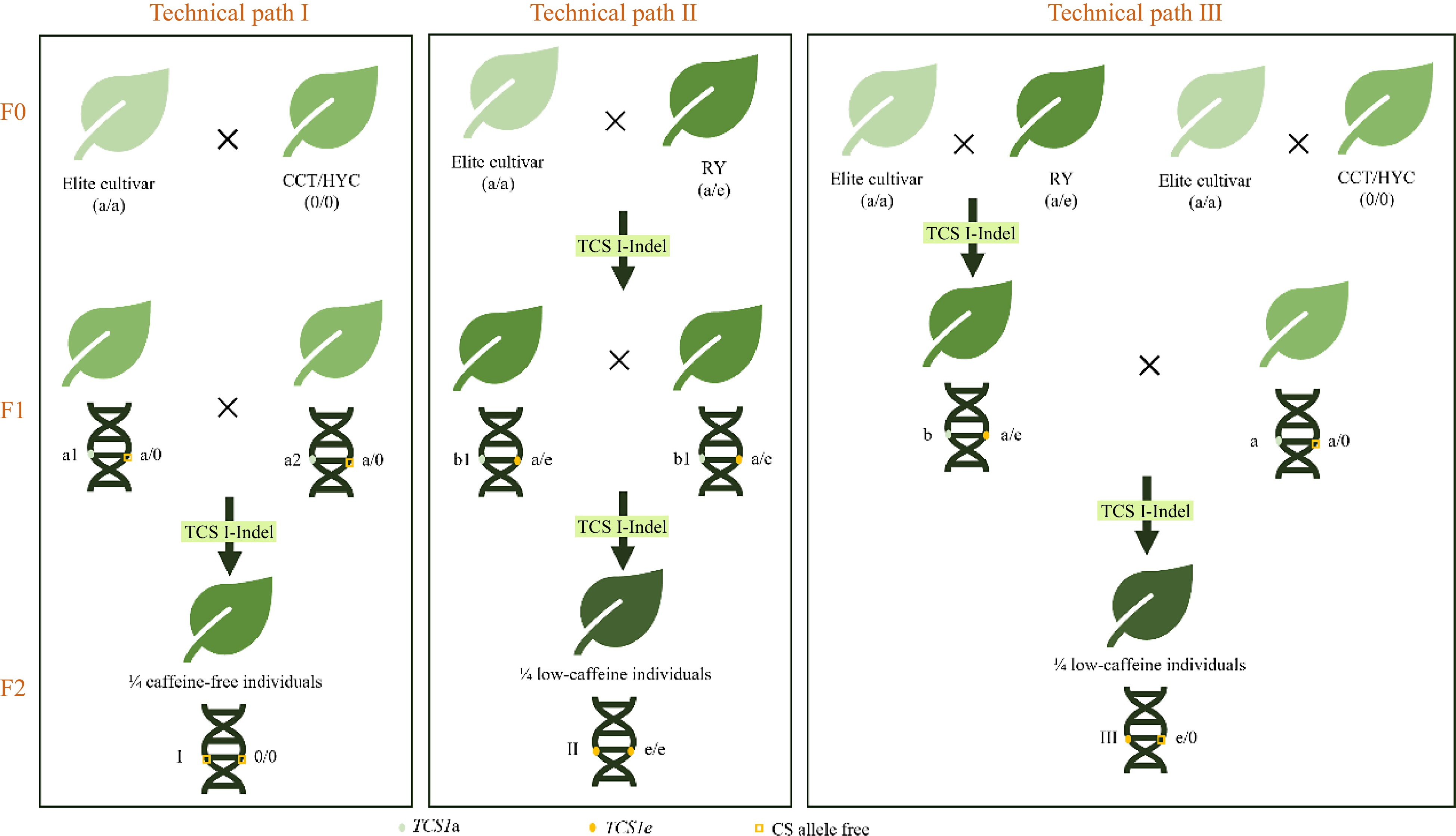 Achievements and prospects of QTL mapping and beneficial genes and ...
