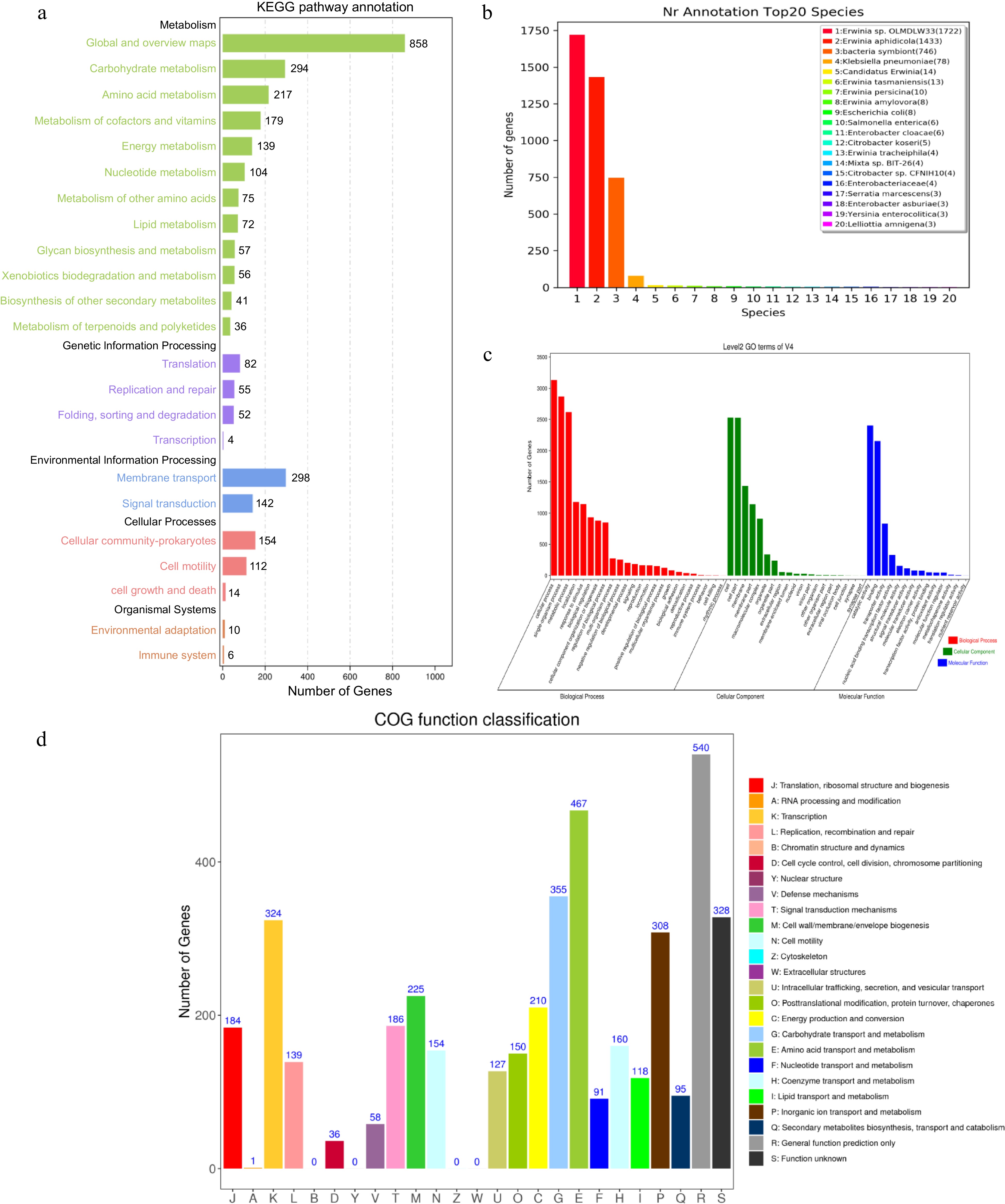 Complete genome sequence of a plant growth-promoting endophytic bacterium V4 isolated from tea ...