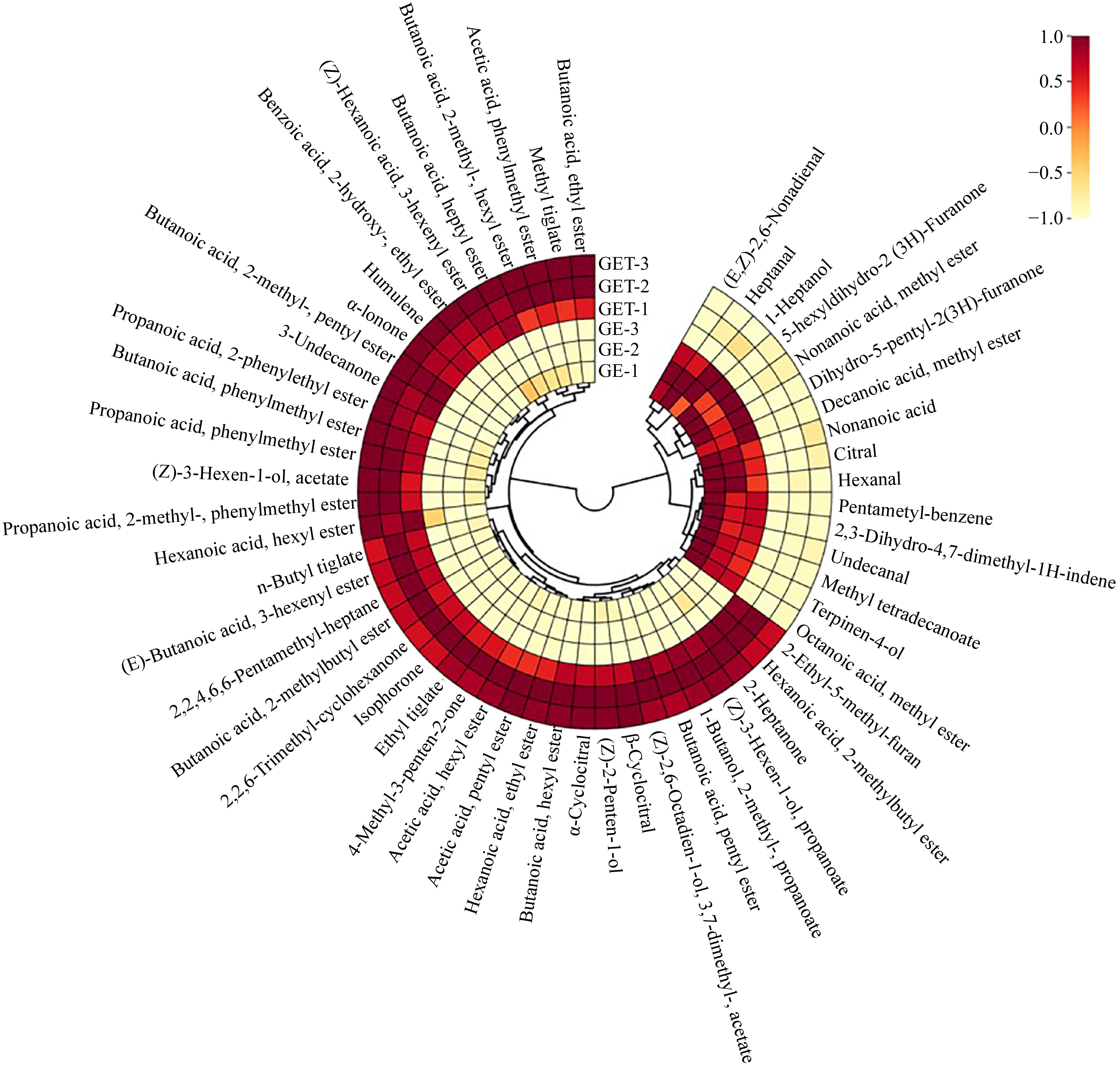 Characterization of Gardenia tea based on aroma profiles using GC-E ...