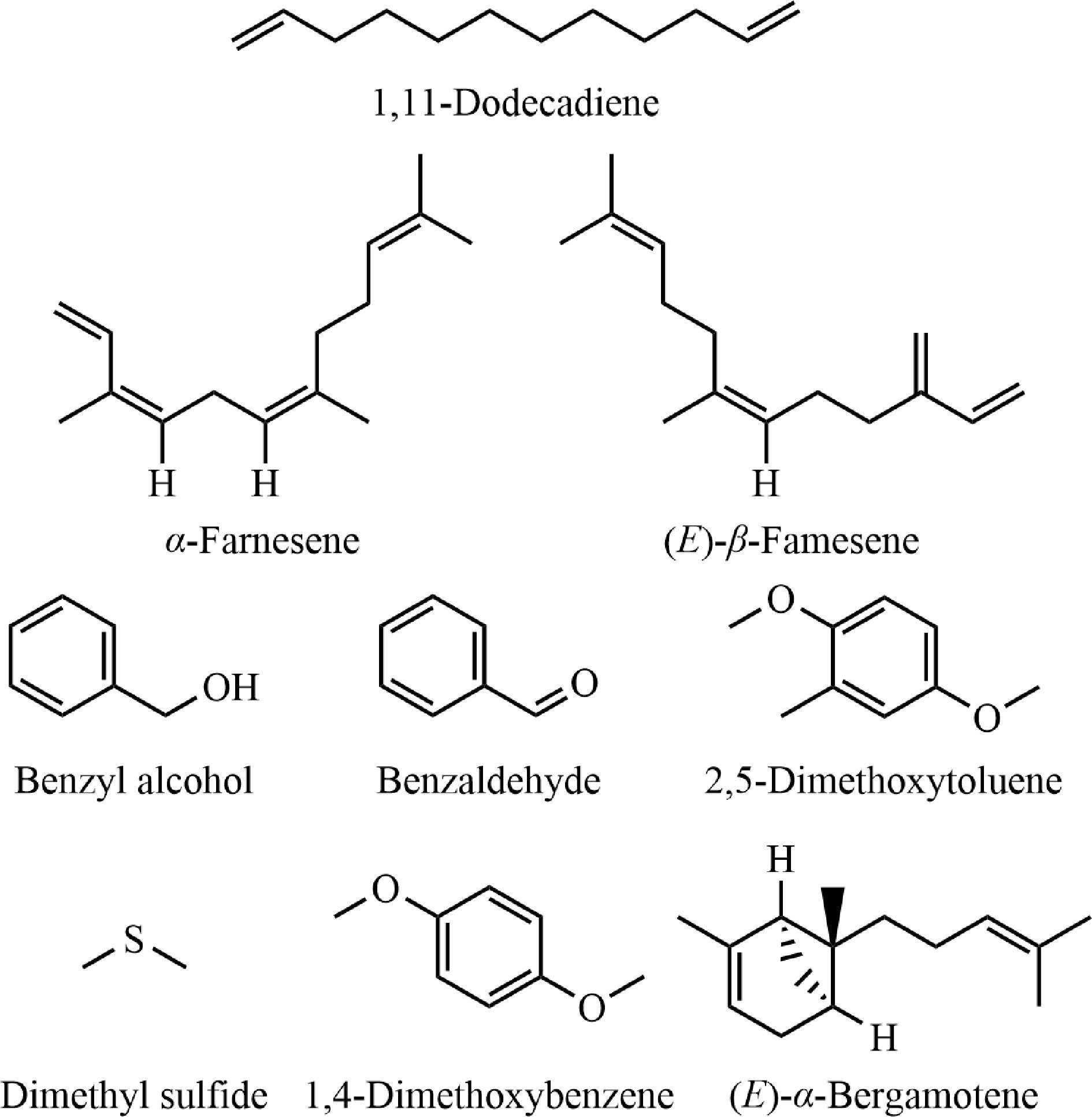 Comprehensive study of non-volatile and volatile metabolites in five ...