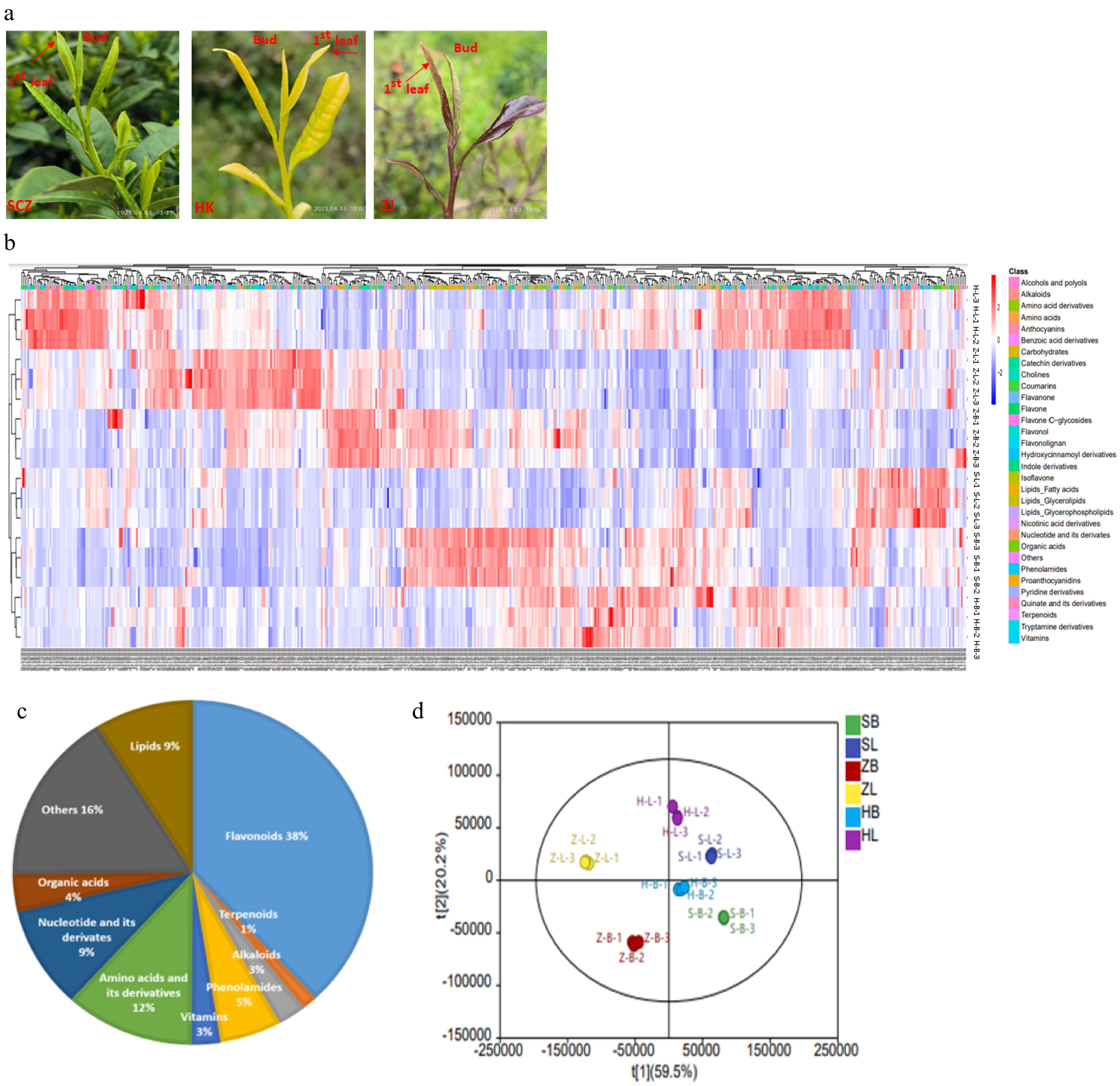 Metabolome profiling unveil the composition differences of quality of ...