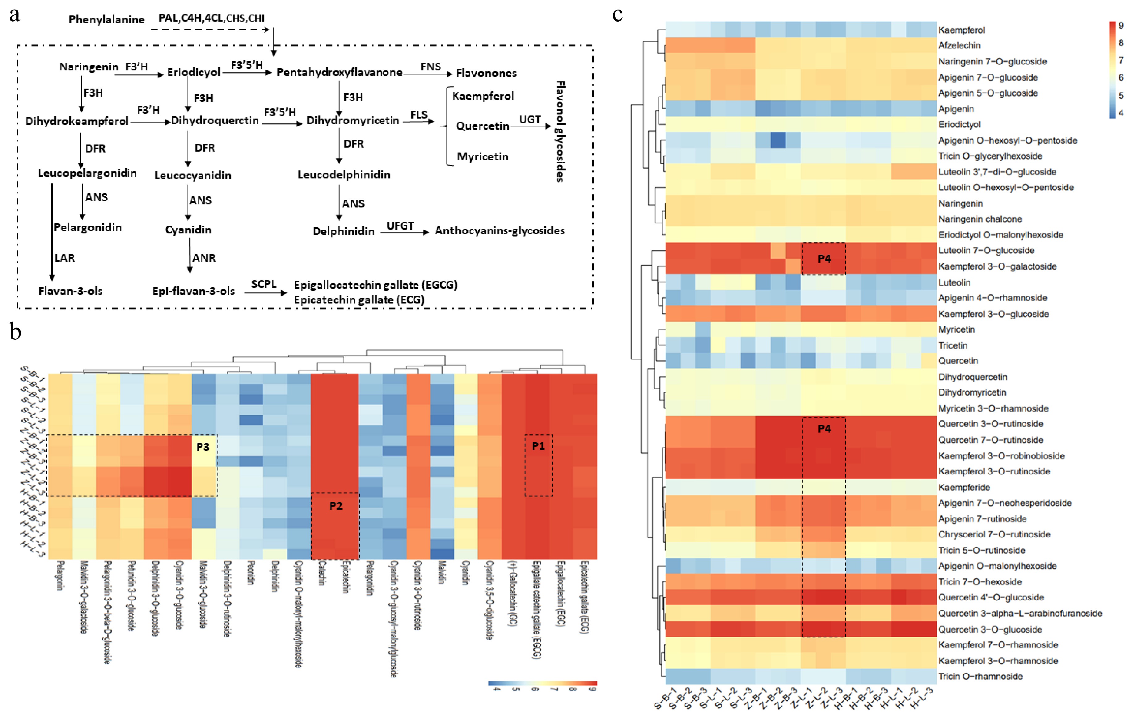Metabolome profiling unveil the composition differences of quality of ...