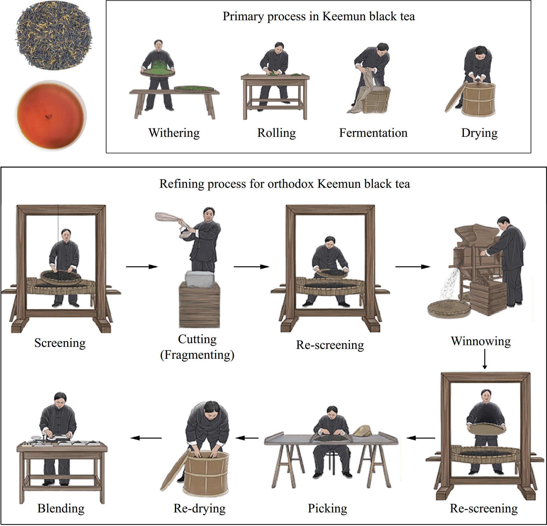 Identification and comparison of nonvolatile profiles of the four ...