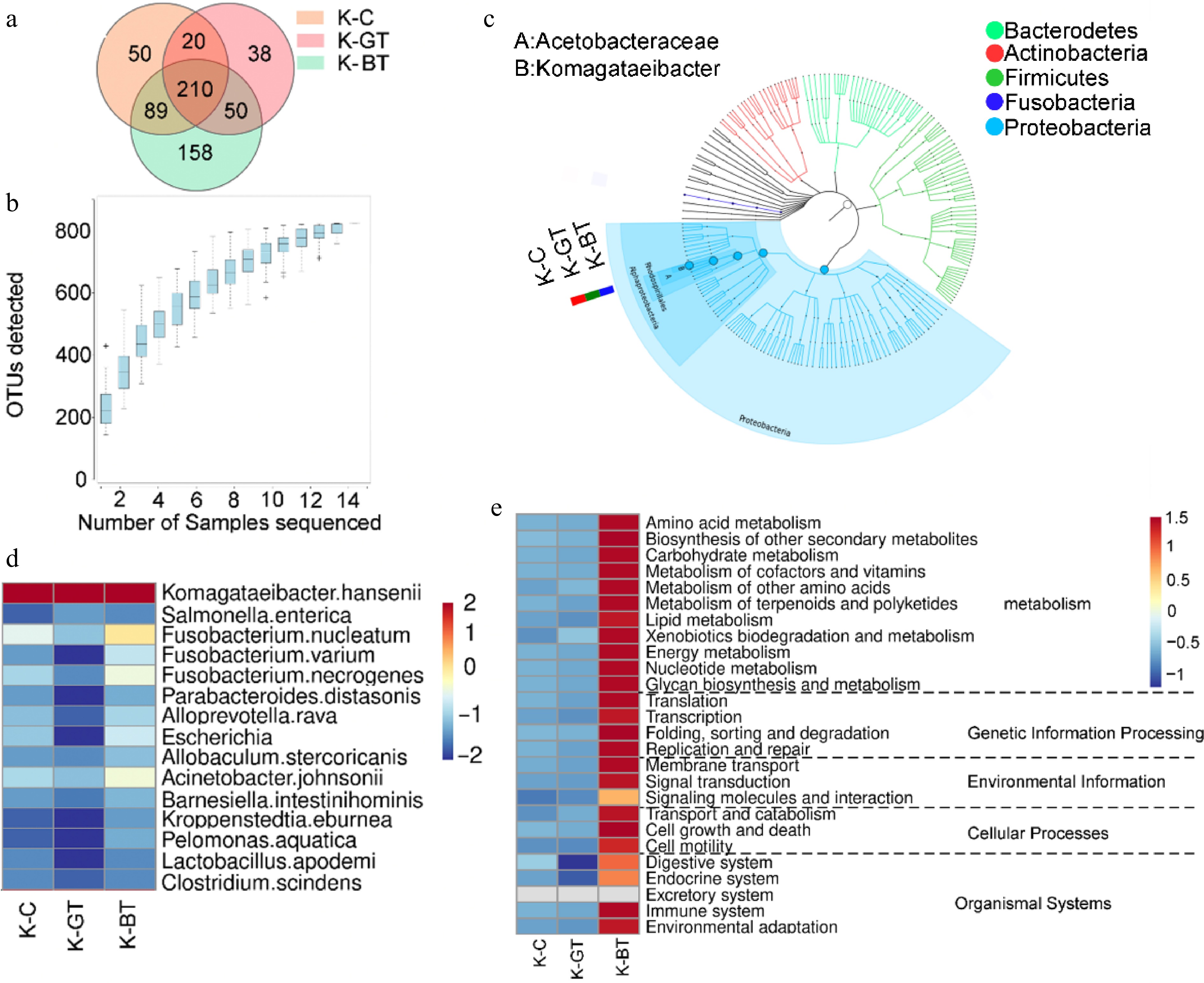 Microbial composition, bioactive compounds, and sensory evaluation of ...