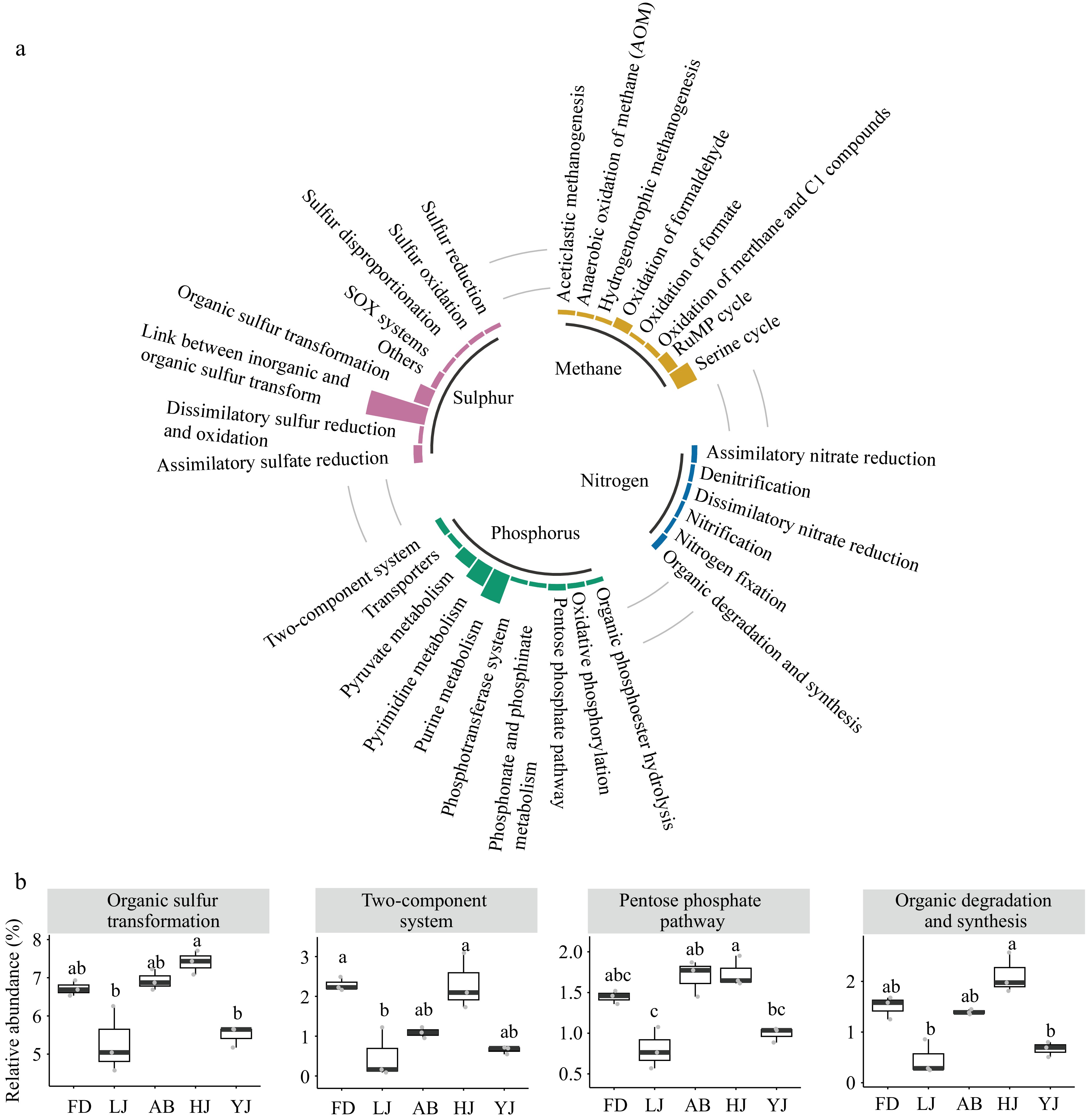 Leaf metabolites drive the functional composition of the phyllosphere ...