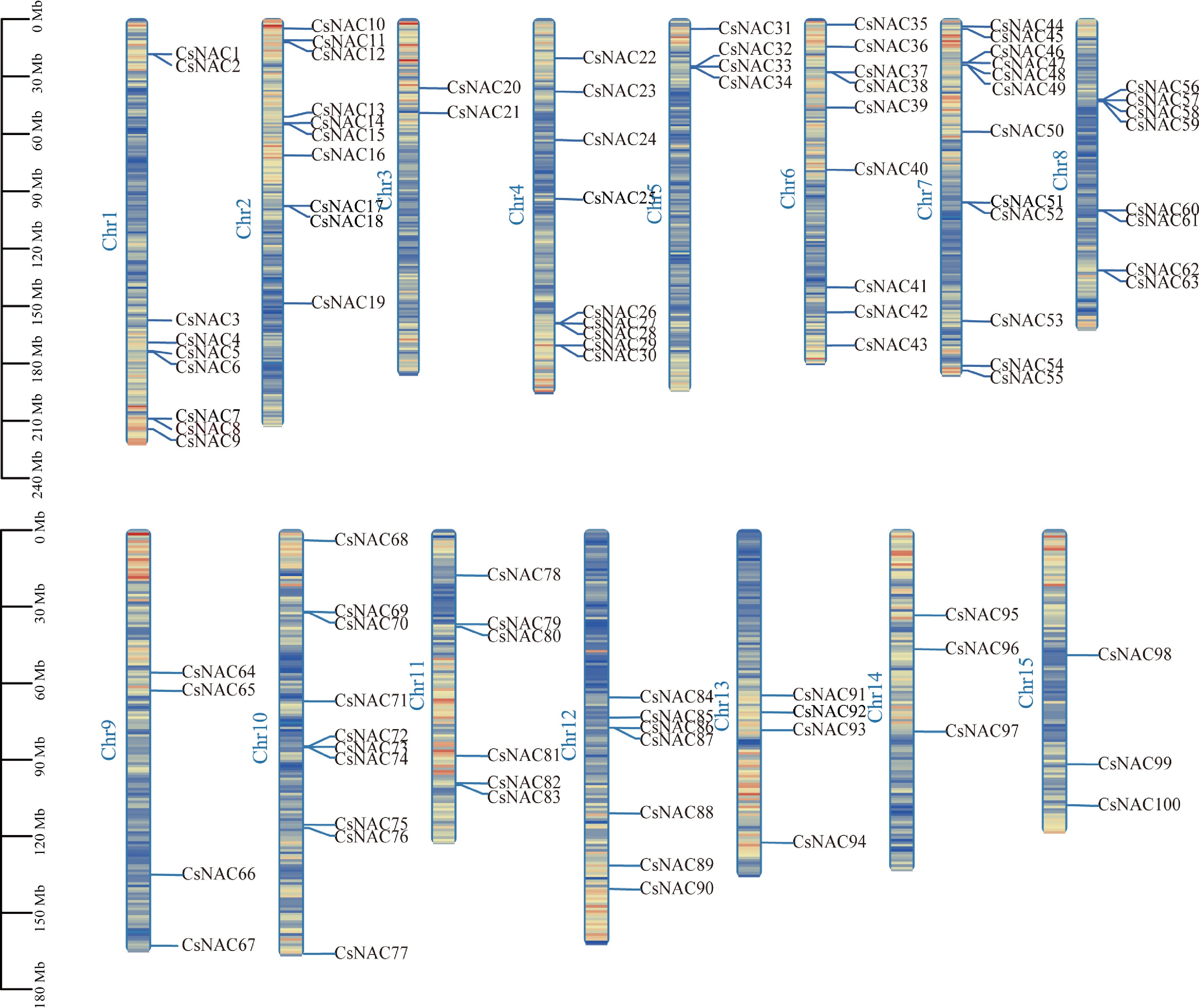 Identification of the NAC gene family in Camellia sinensis and ...