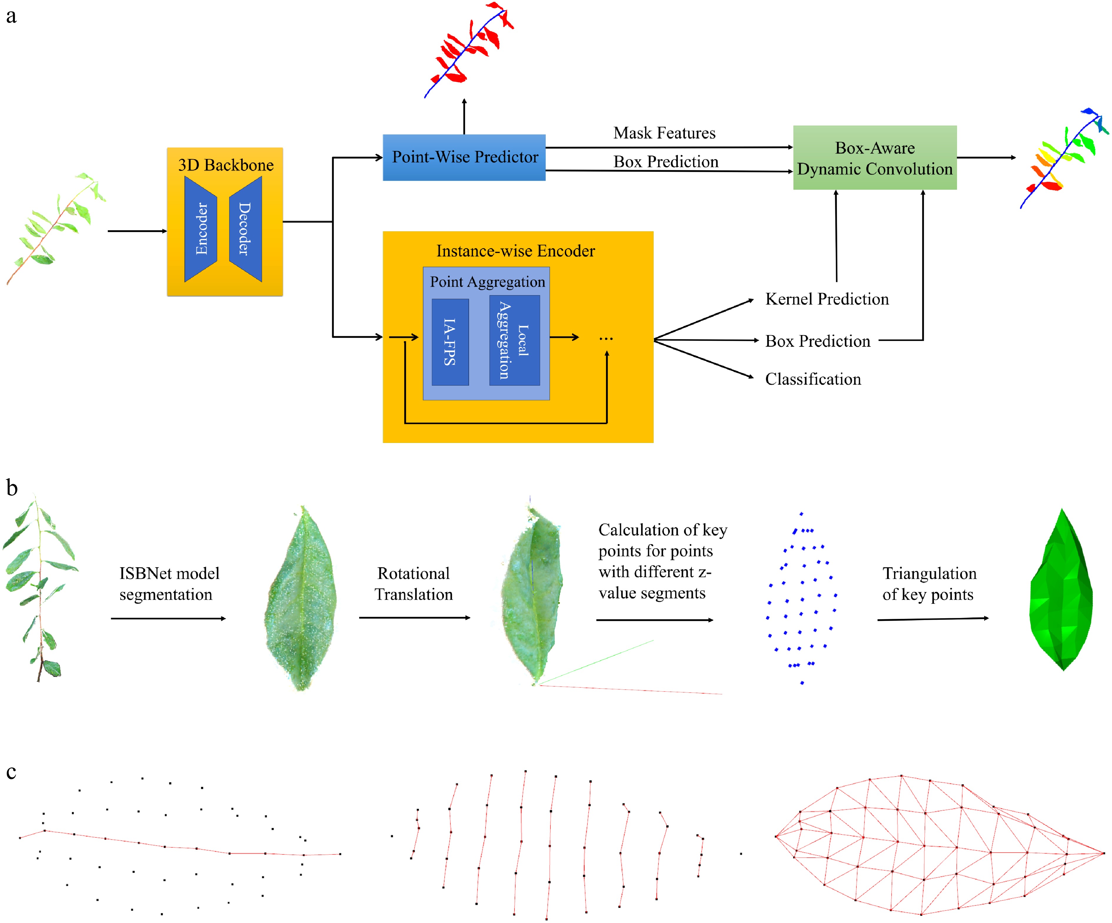 A novel three-dimensional canopy photosynthesis model for tea plant ...