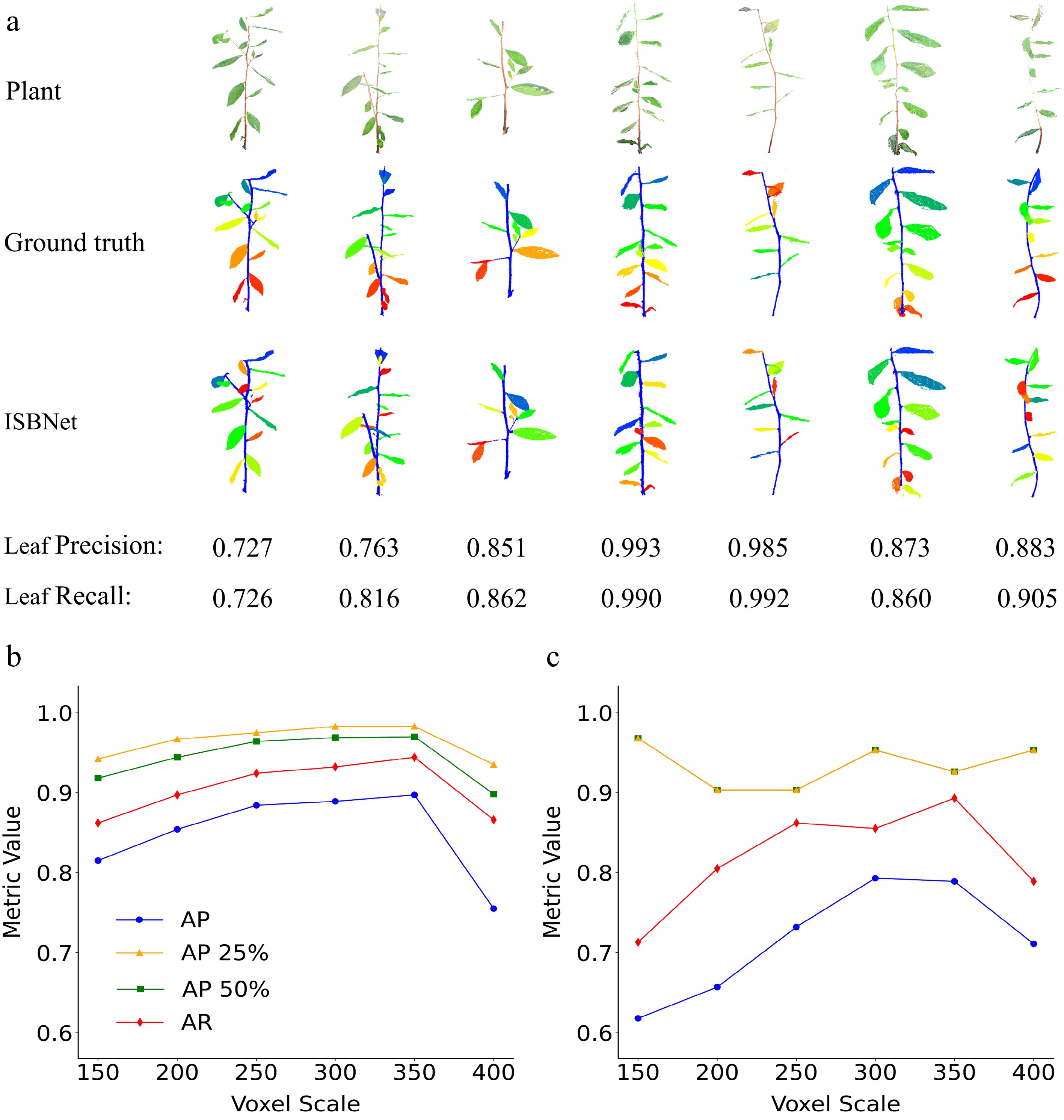 A novel three-dimensional canopy photosynthesis model for tea plant ...