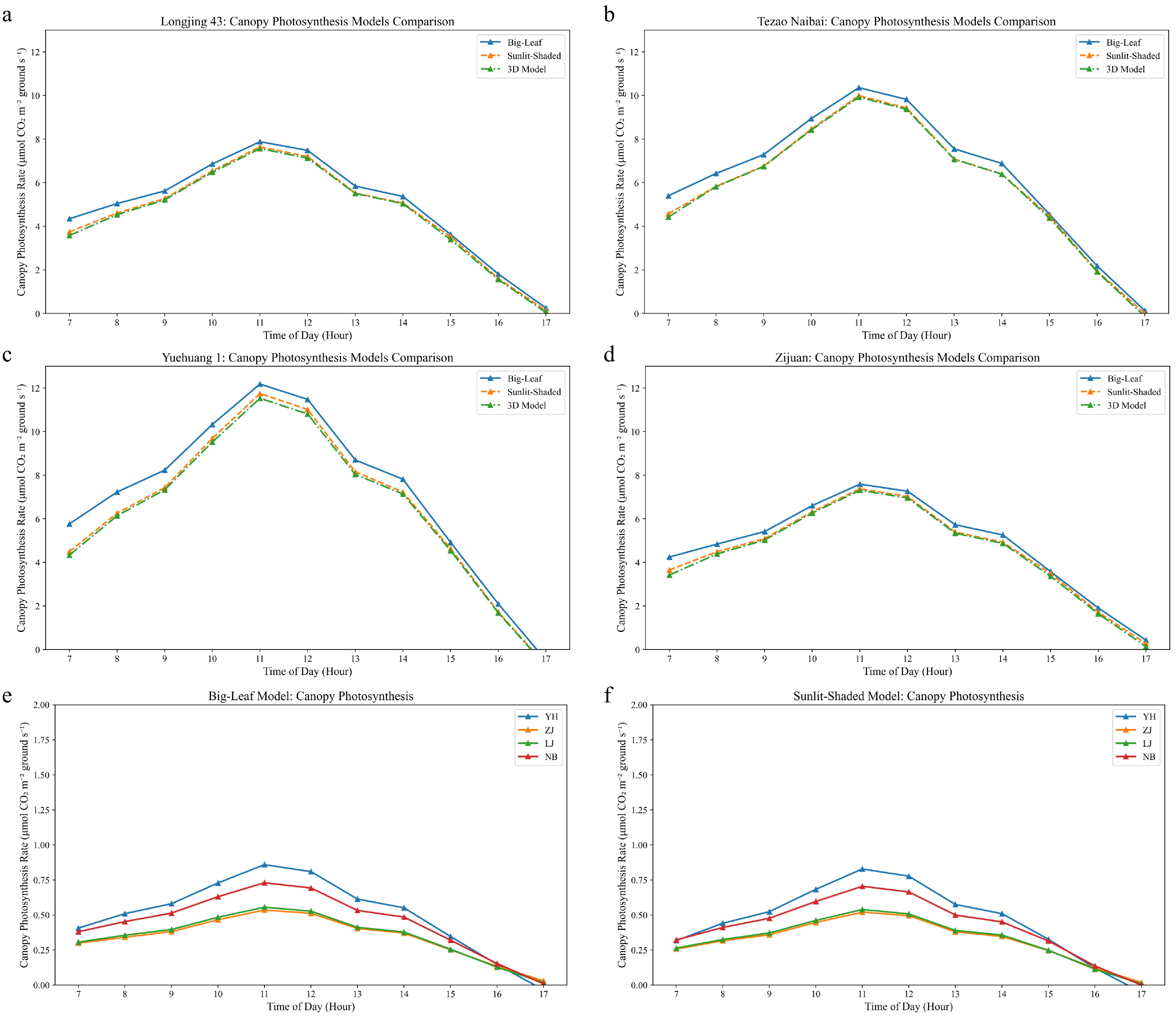 A novel three-dimensional canopy photosynthesis model for tea plant ...