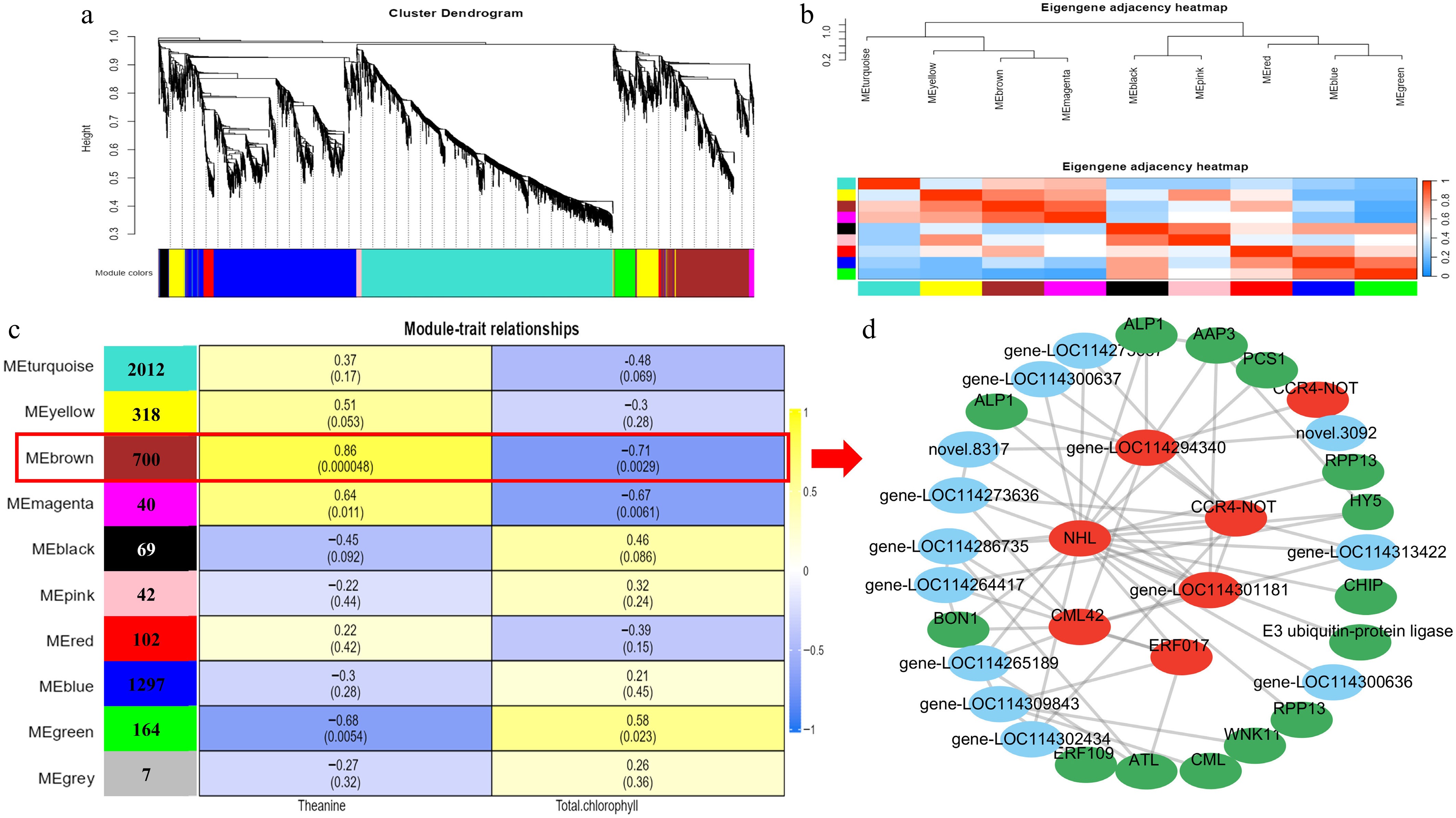Transcriptome analysis revealed the effect of blue and red light on ...
