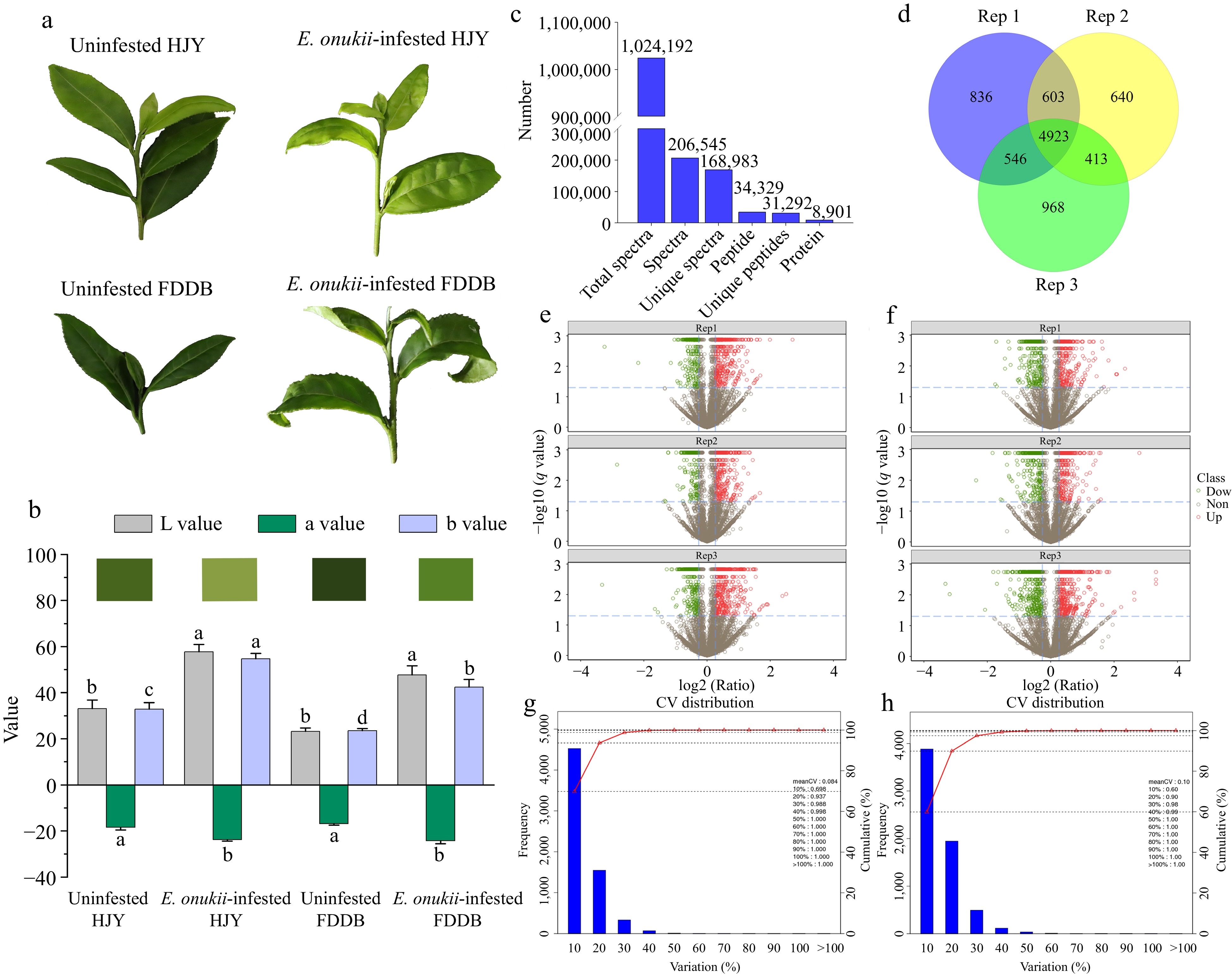 iTRAQ-based quantitative proteomic analysis of defense responses of two ...