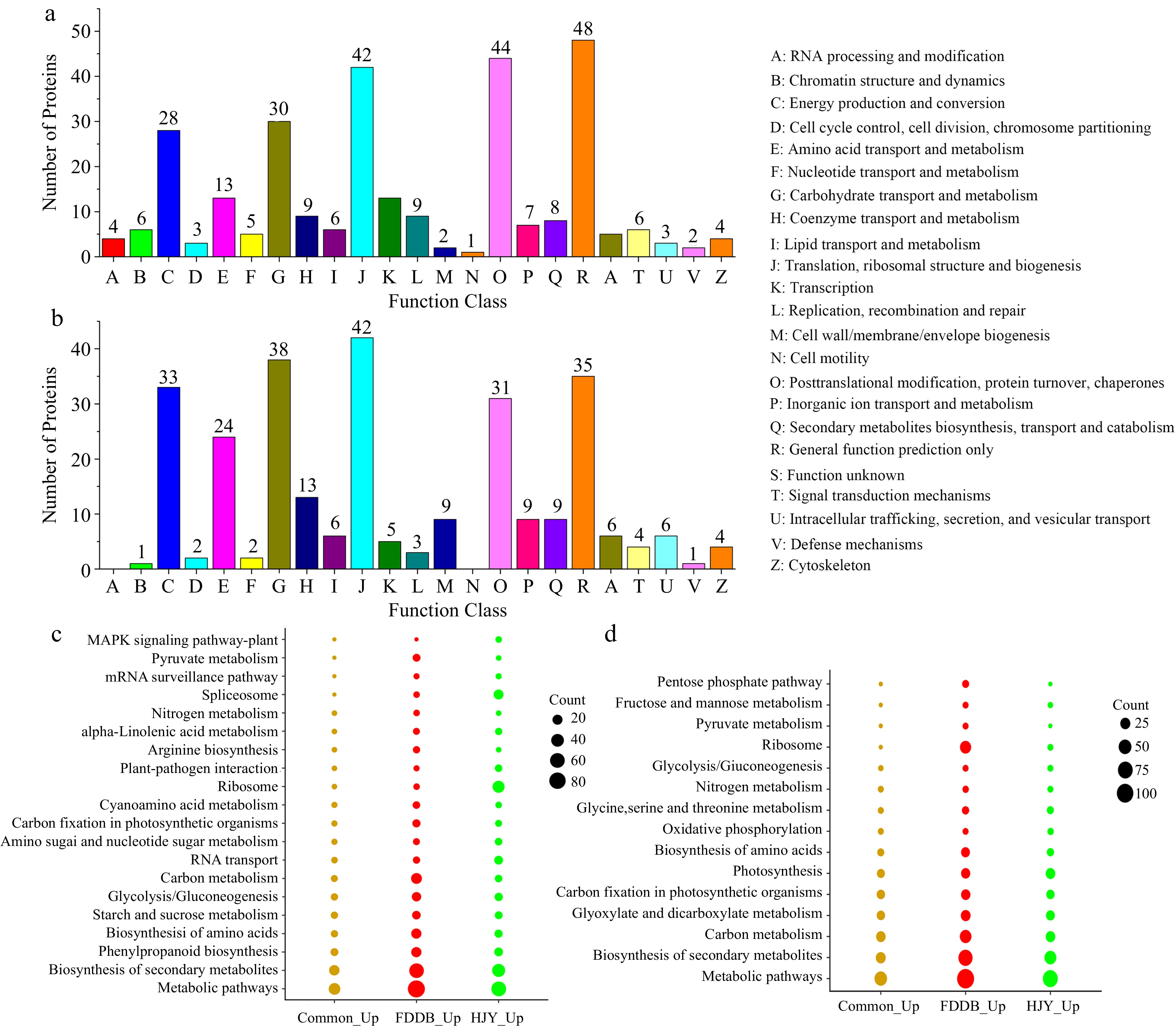 Itraq Based Quantitative Proteomic Analysis Of Defense Responses Of Two