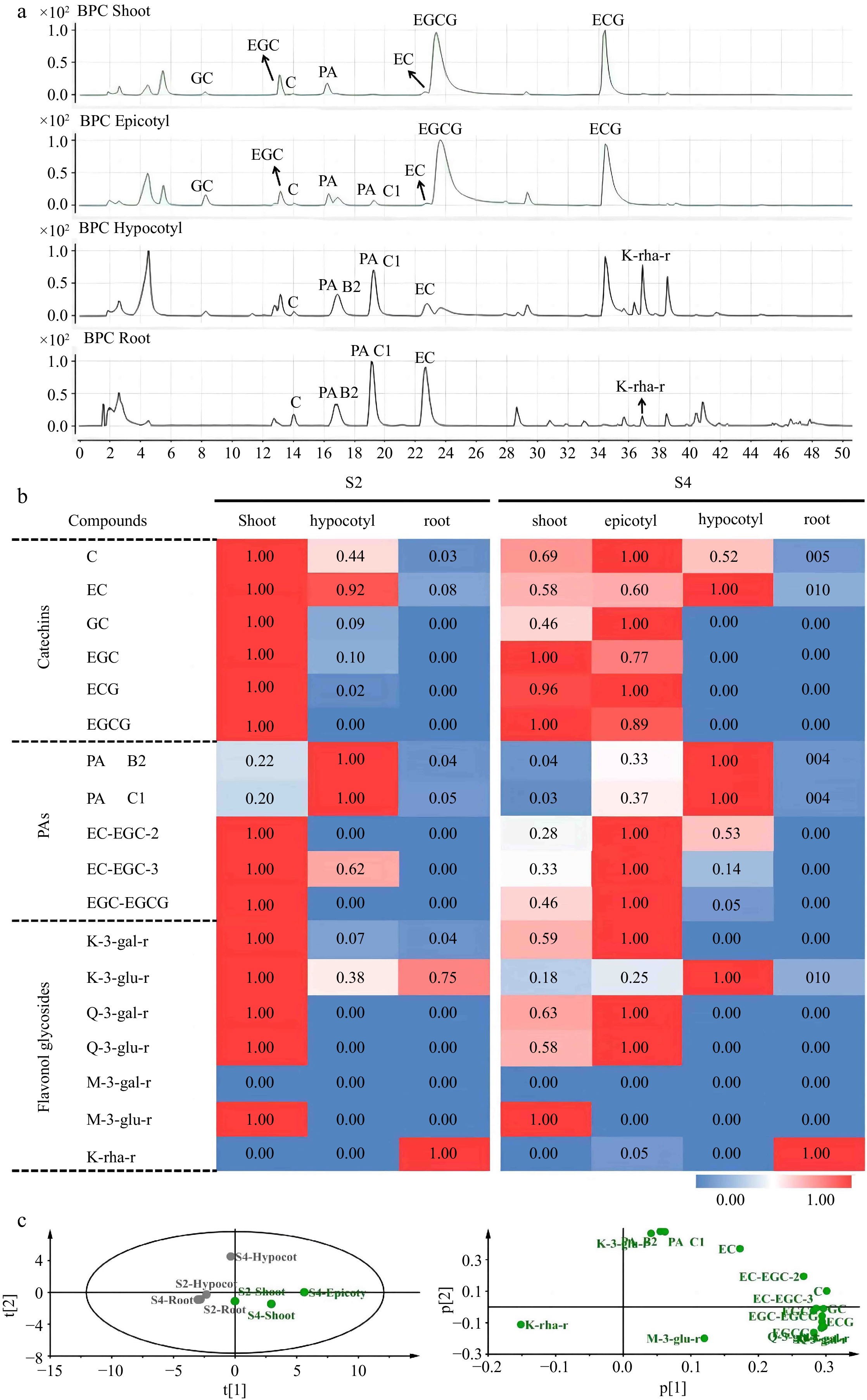Accumulation patterns of flavonoids during multiple development stages ...