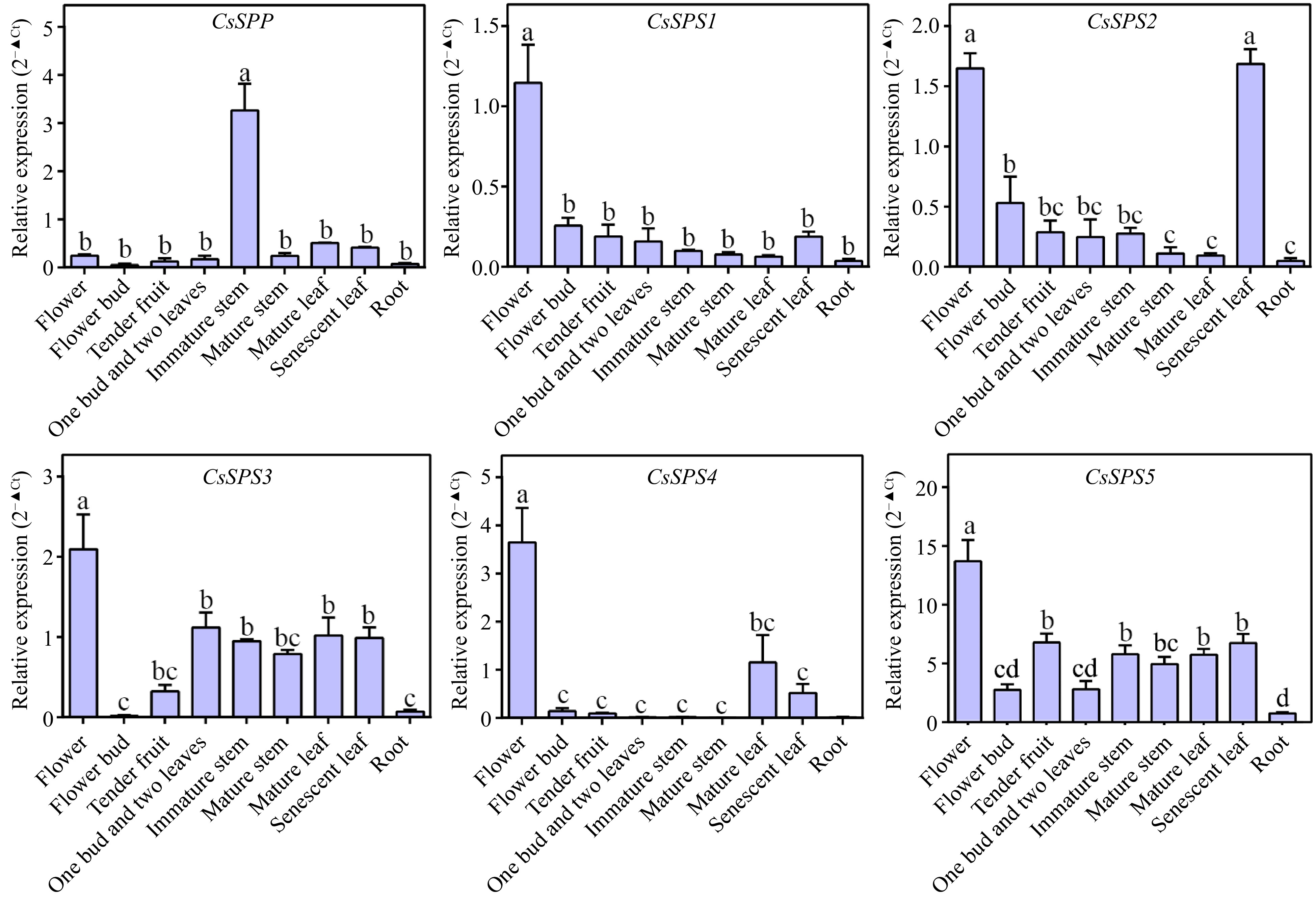 Genome-wide identification and expression analysis of sucrose phosphate ...