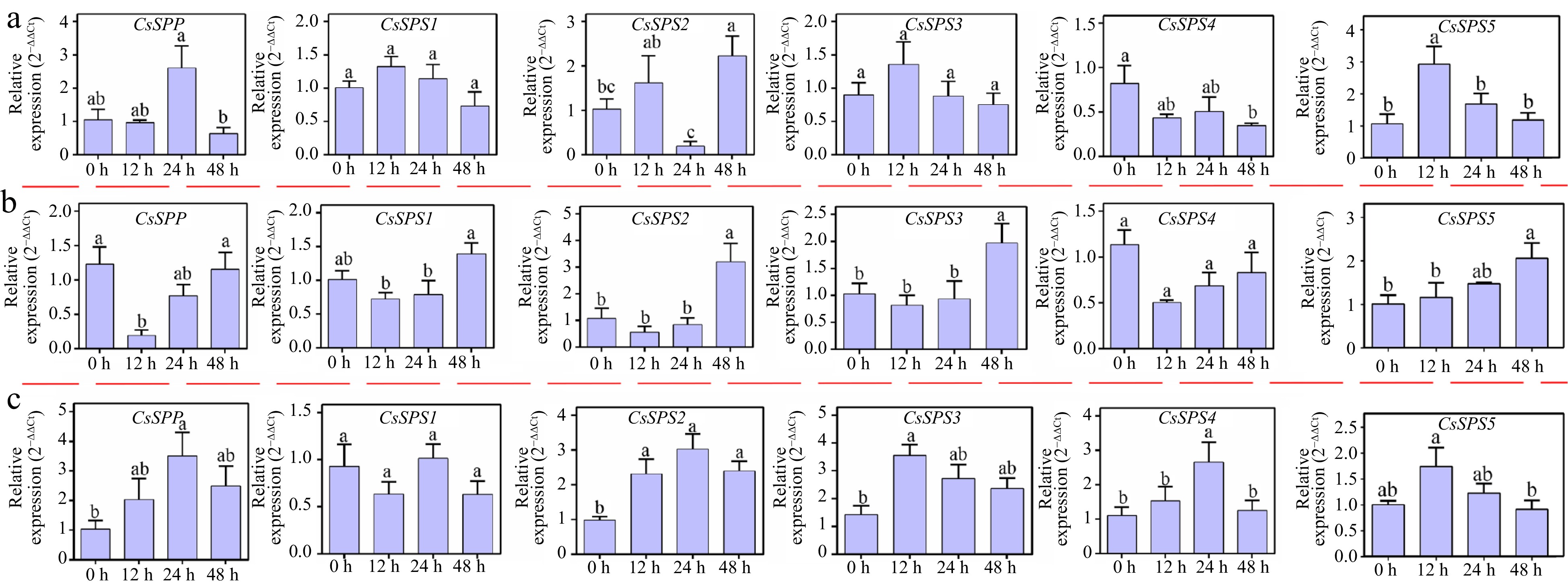 Genome-wide identification and expression analysis of sucrose phosphate ...